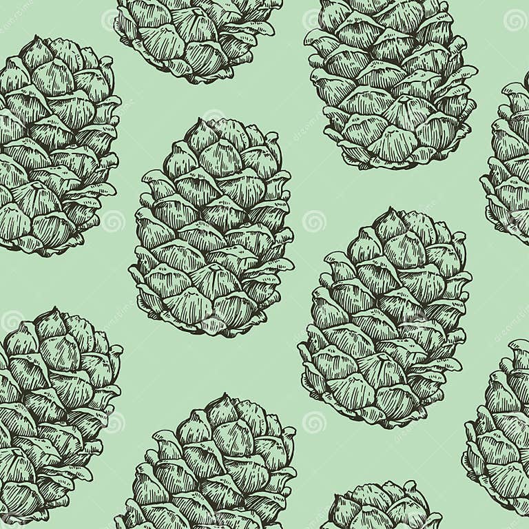 Seamless Pattern with Cedar Pine Cone Drawing in Enagraving Style. Hand ...