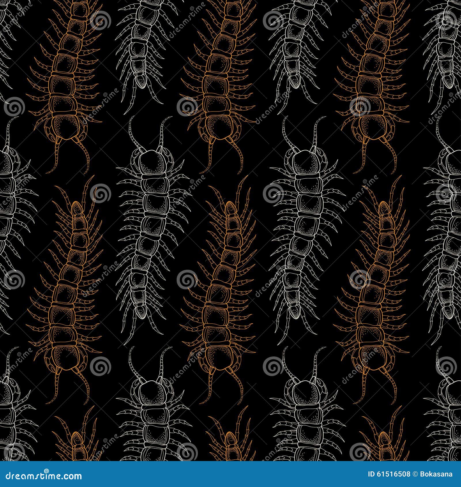 Seamless Pattern with Centipede or Millipede on the Black Background ...