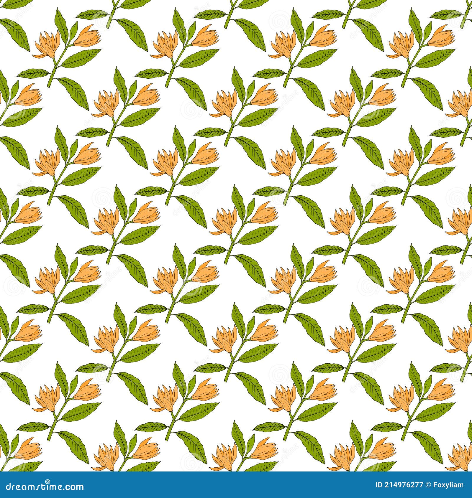 Champak Or Yellow Jade Orchid Tree Magnolia Champaca , Medicinal Plant ...