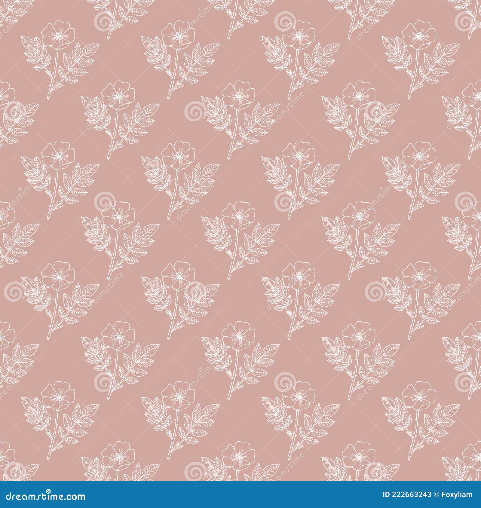 Seamless Pattern with Cherokee Rose Stock Vector - Illustration of ...
