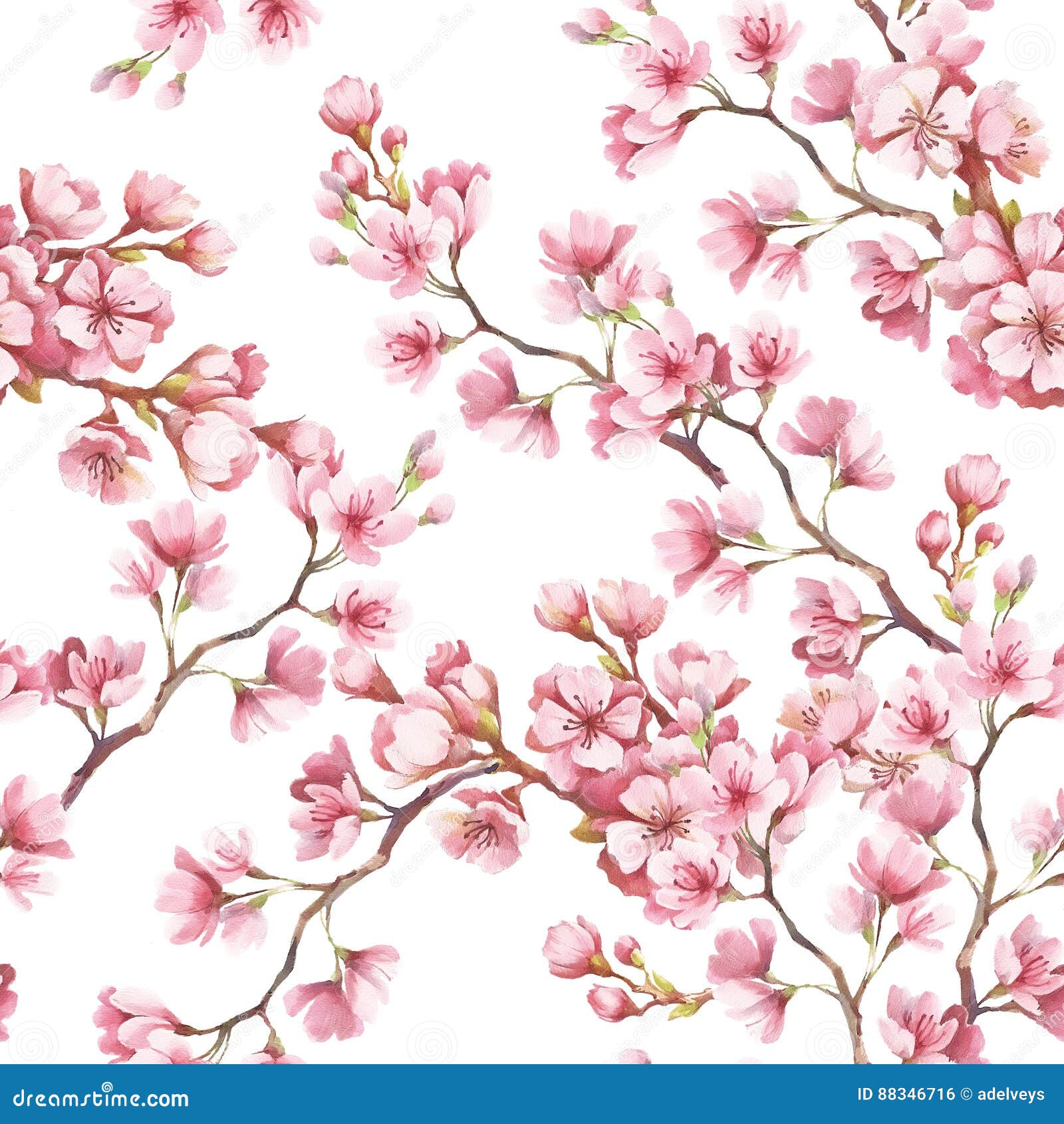 Seamless Pattern with Cherry Blossoms. Watercolor Illustration. Stock ...