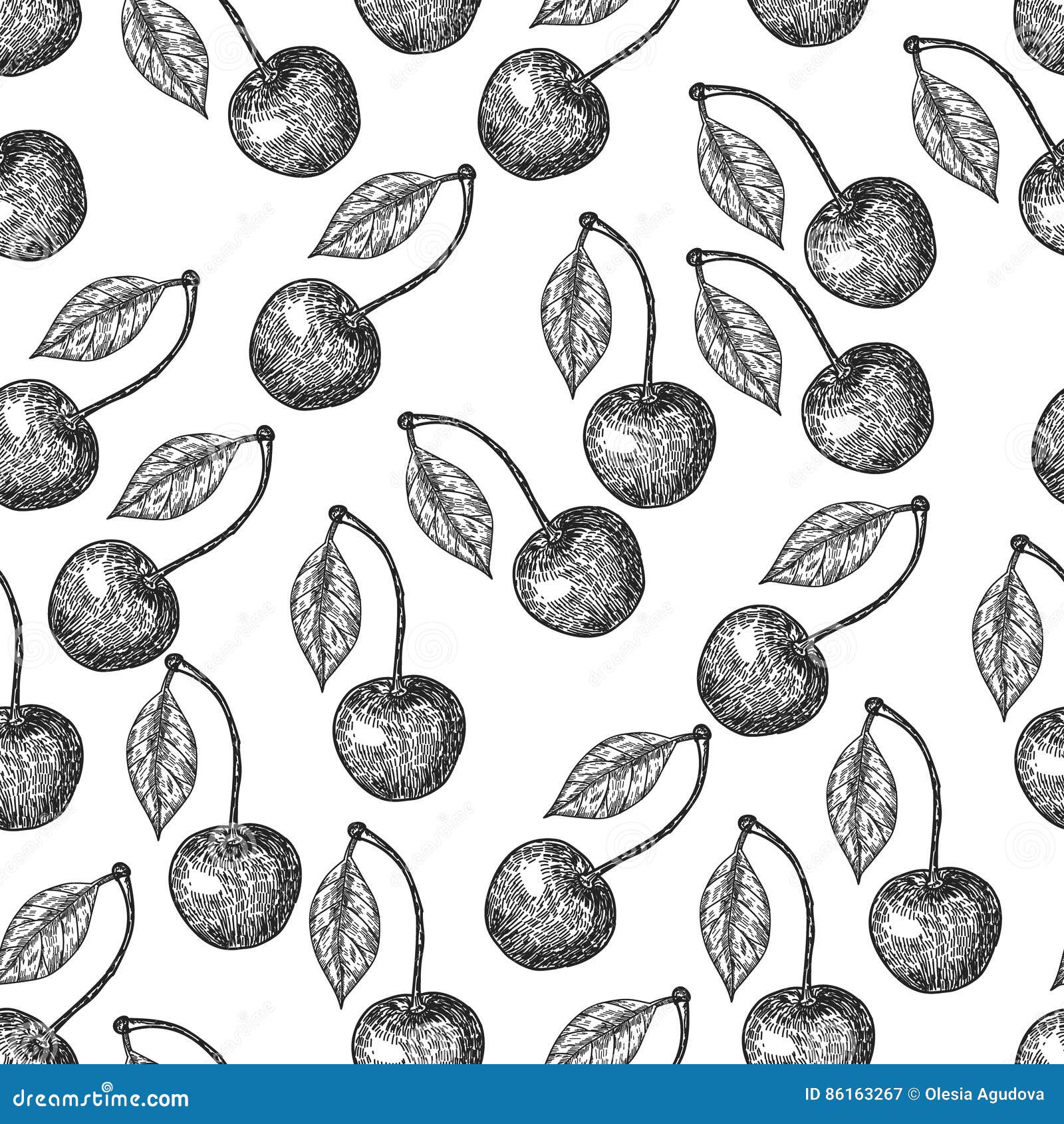 Seamless Pattern. Cherry Sketch. Fruits Vector Illustration. Hand Drawn ...