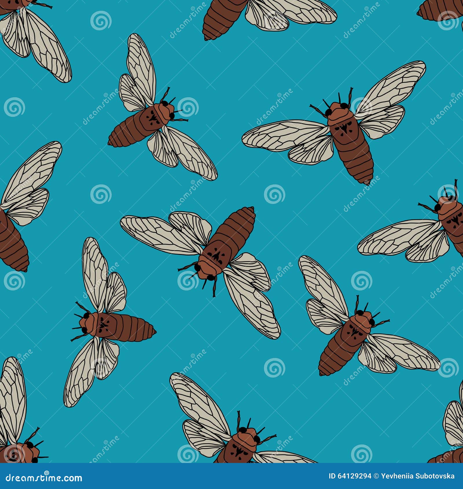 Seamless Pattern with Cicada . Cicadidae. Chremistica Umbrosa. Hand ...