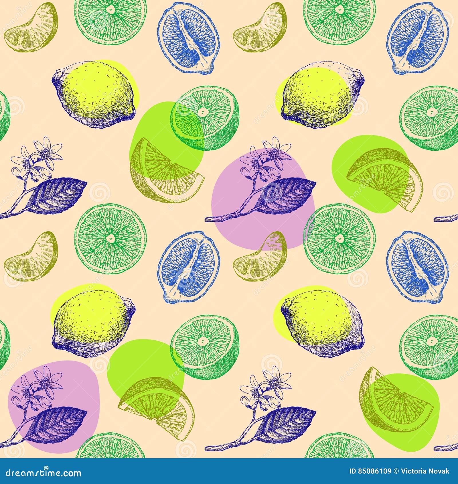 Seamless Pattern with Citrus Fruits. Stock Vector - Illustration of ...