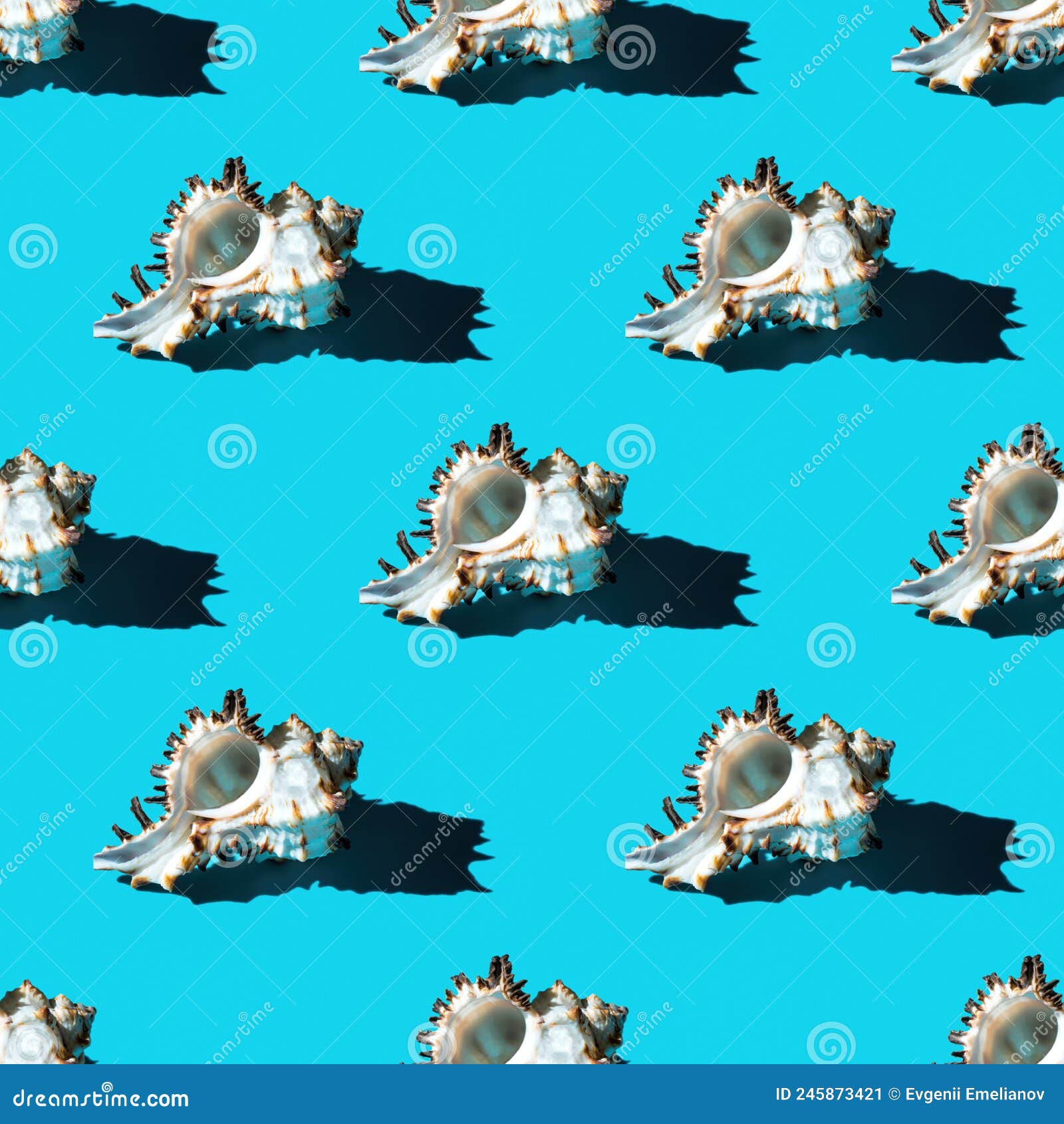 Seamless Pattern of Shells on a Blue Background Stock Image - Image of ...