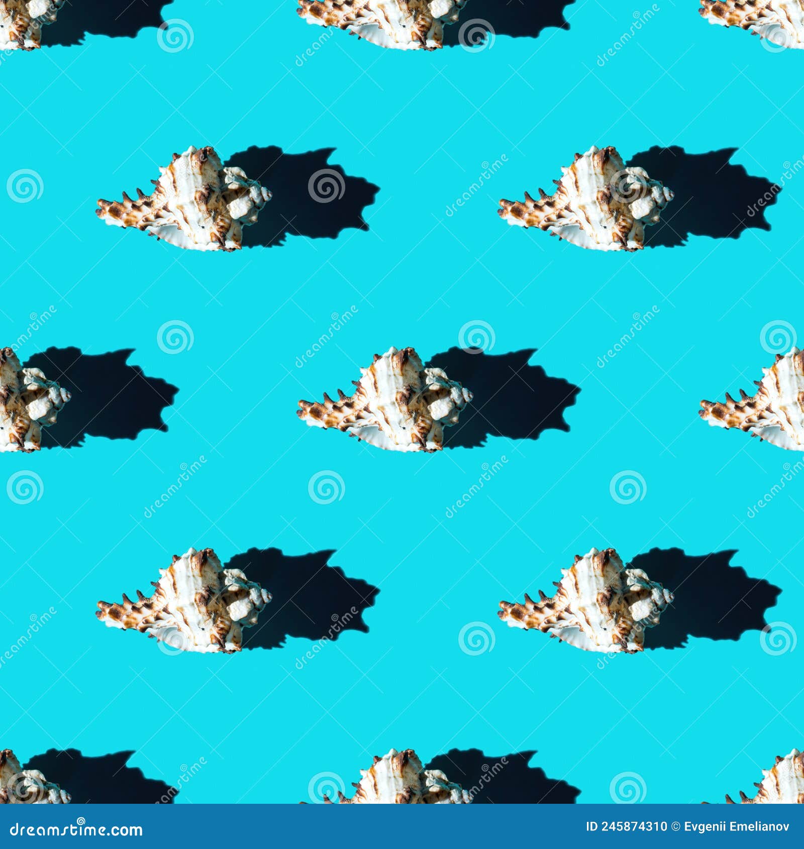 Seamless Pattern of Shells on a Cyan Background Stock Photo - Image of ...