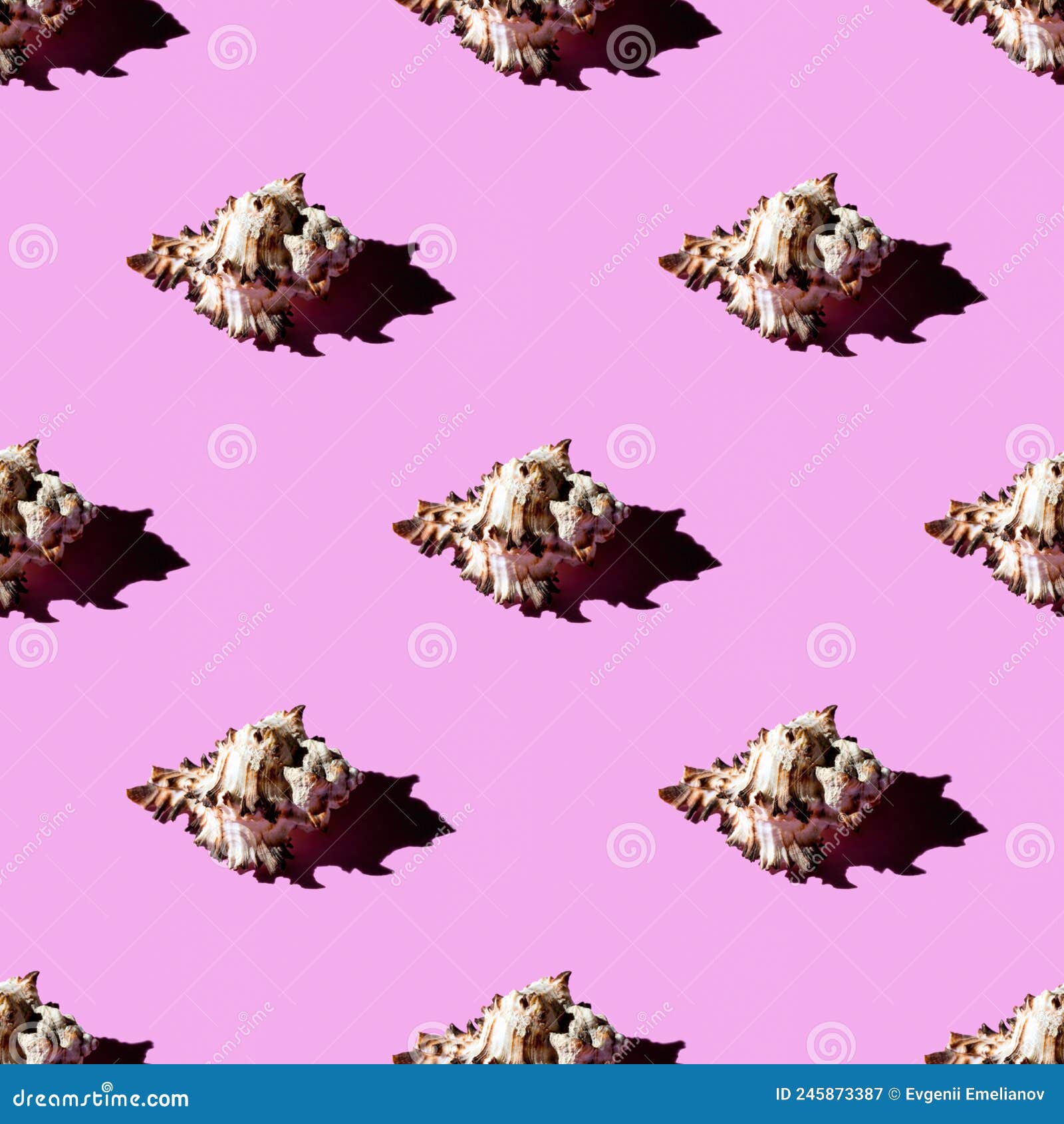 Seamless Pattern of Shells on a Pastel Background Stock Image - Image ...