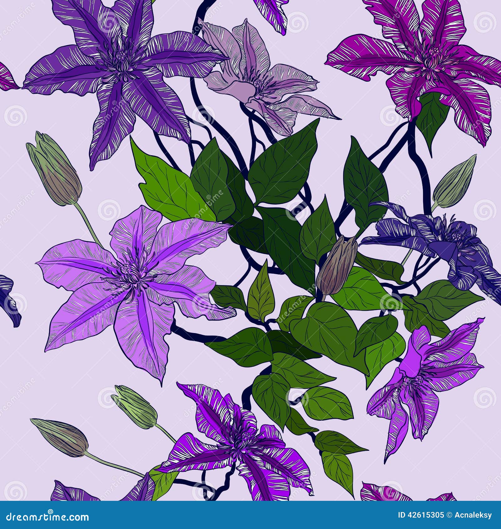 Seamless Pattern with Clematis Flowers Stock Vector - Illustration of bower, florals: 42615305
