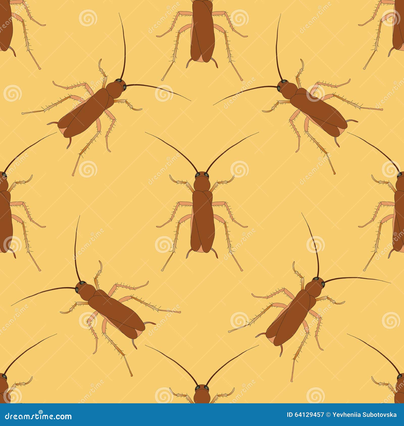 Seamless Pattern with Cockroach. Blattella Germanica Hand-drawn ...