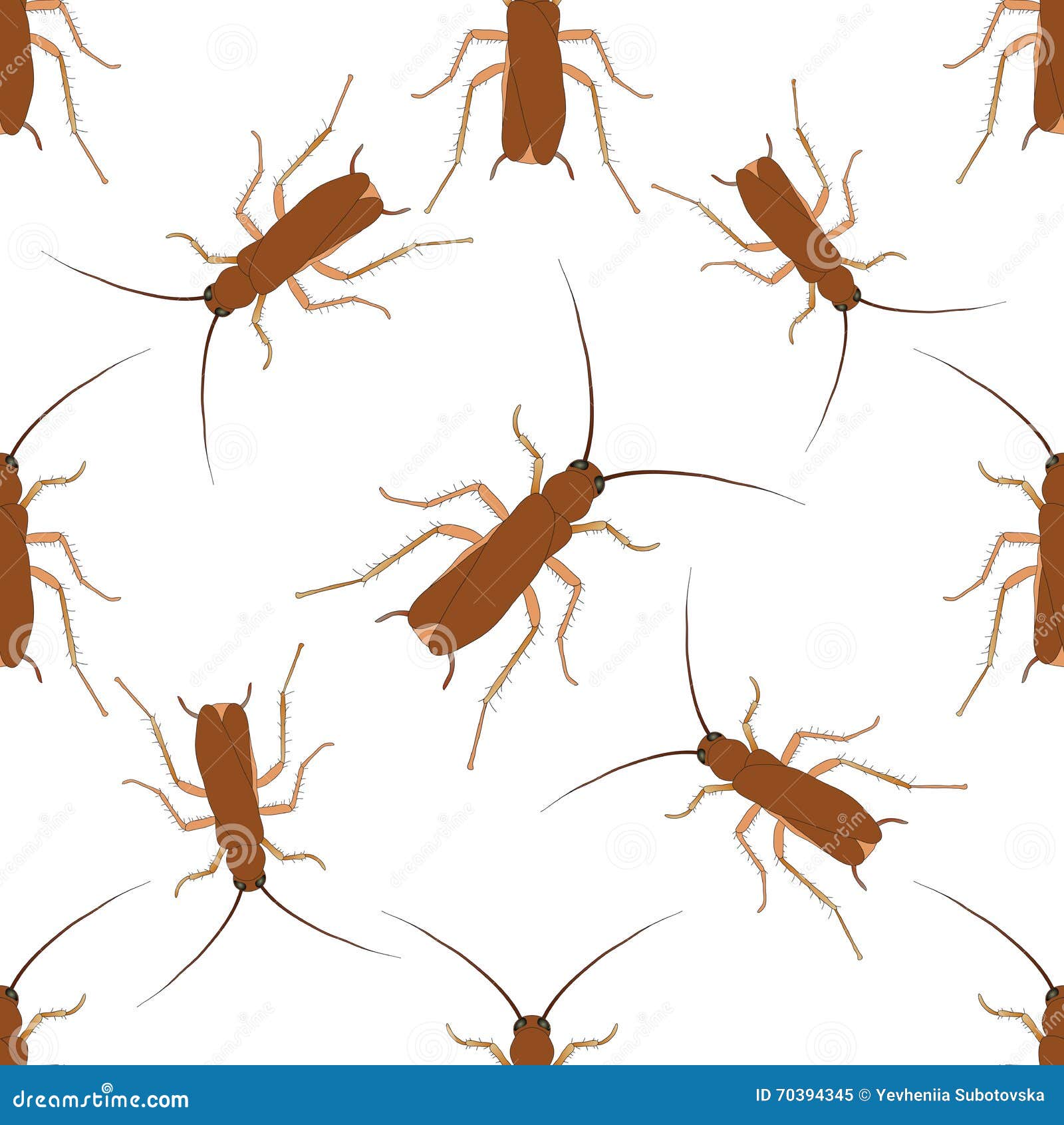 Seamless Pattern with Cockroach. Blattella Germanica Hand-drawn ...