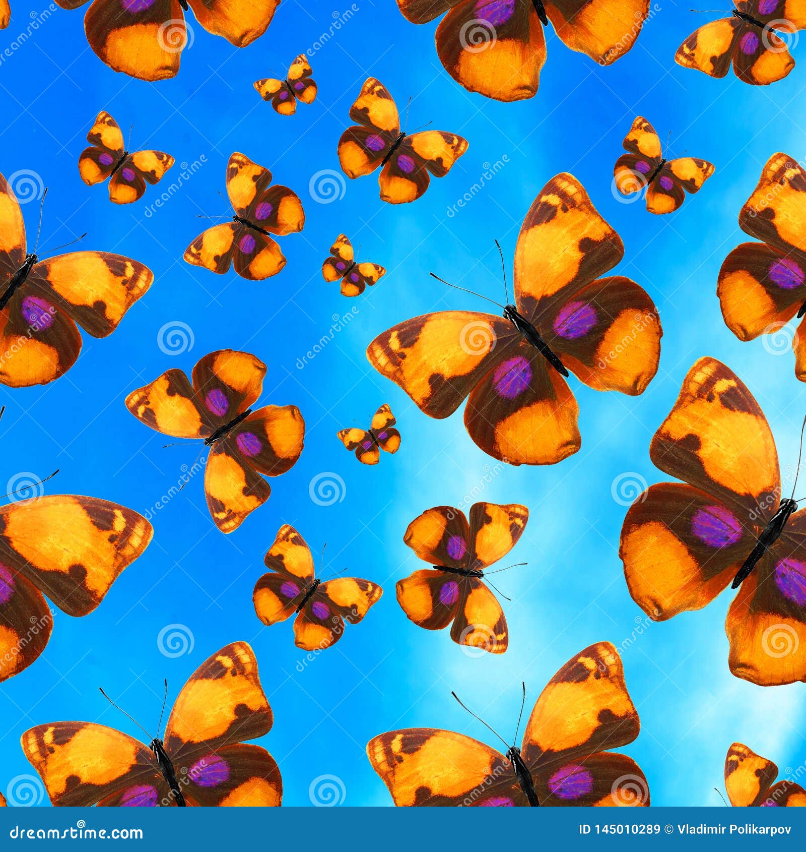 Seamless Pattern with Colorful Butterflies Against Blue Sky Stock Image ...