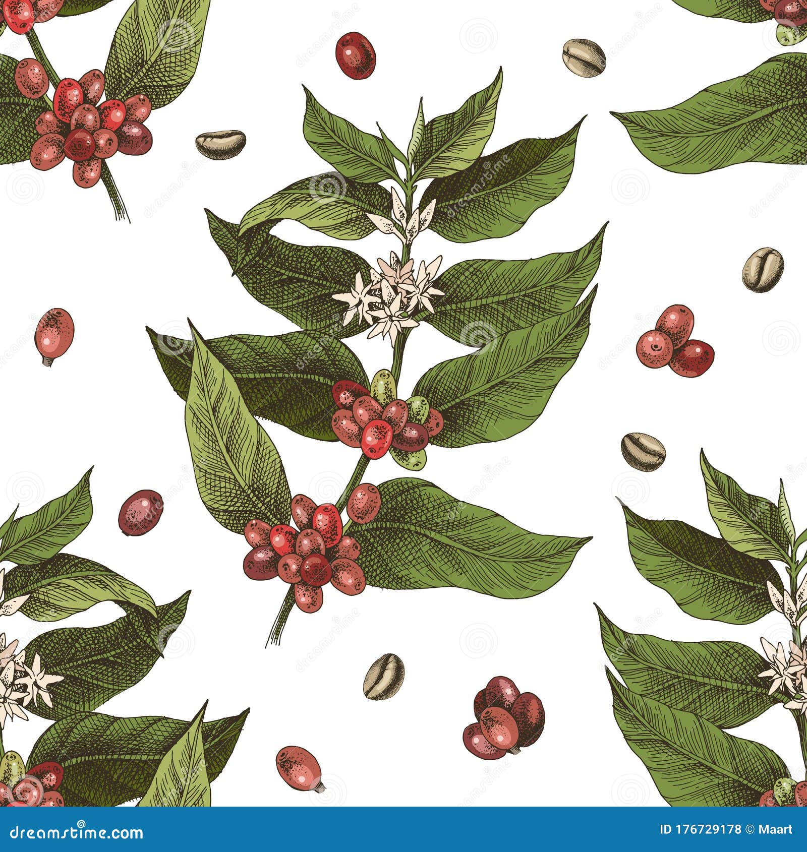 Seamless Pattern with Colorful Hand Drawn Coffee Tree Branches and ...