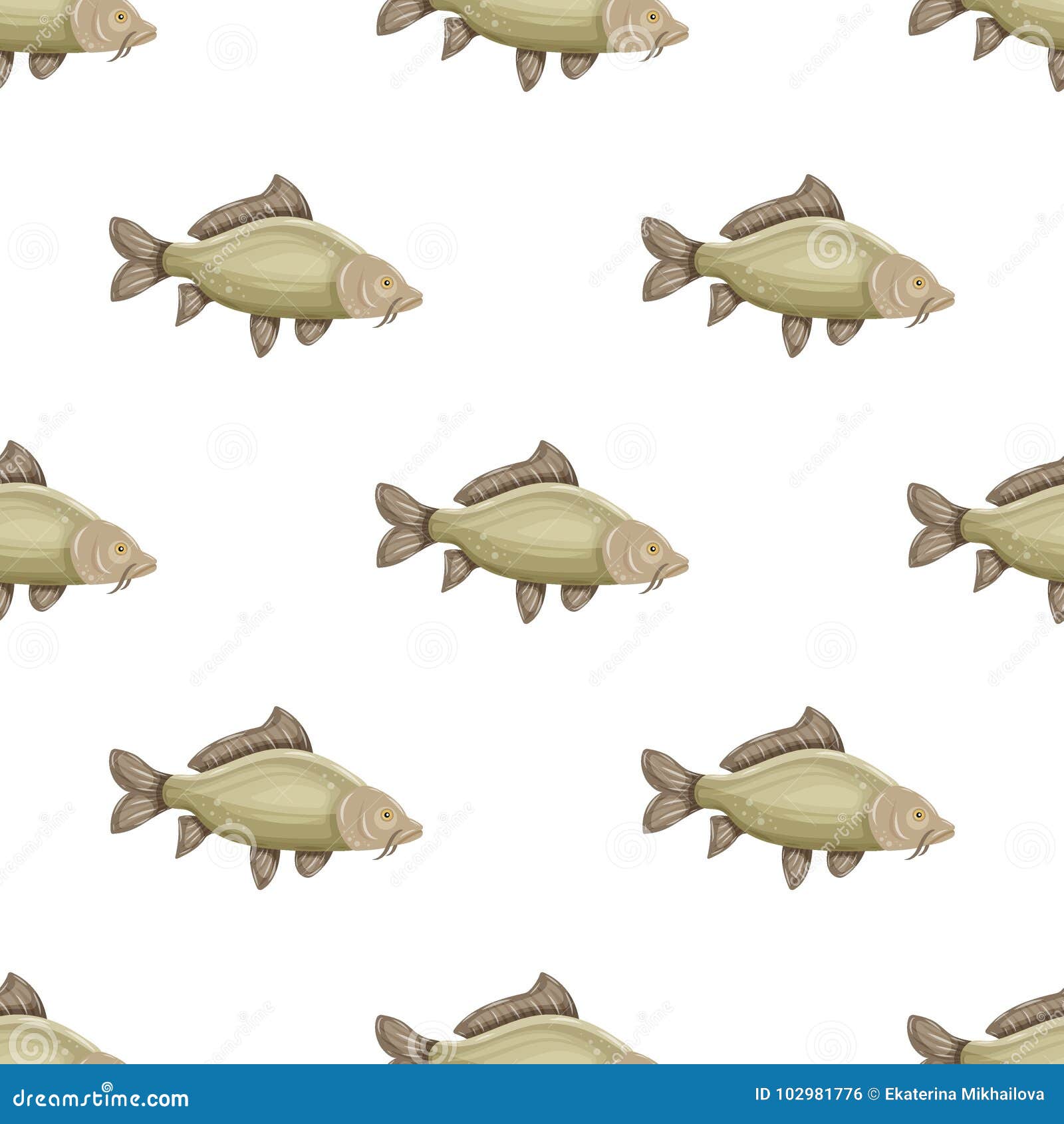 Common Carp Isolated On White Background. Fresh Raw Fish - Vector ...