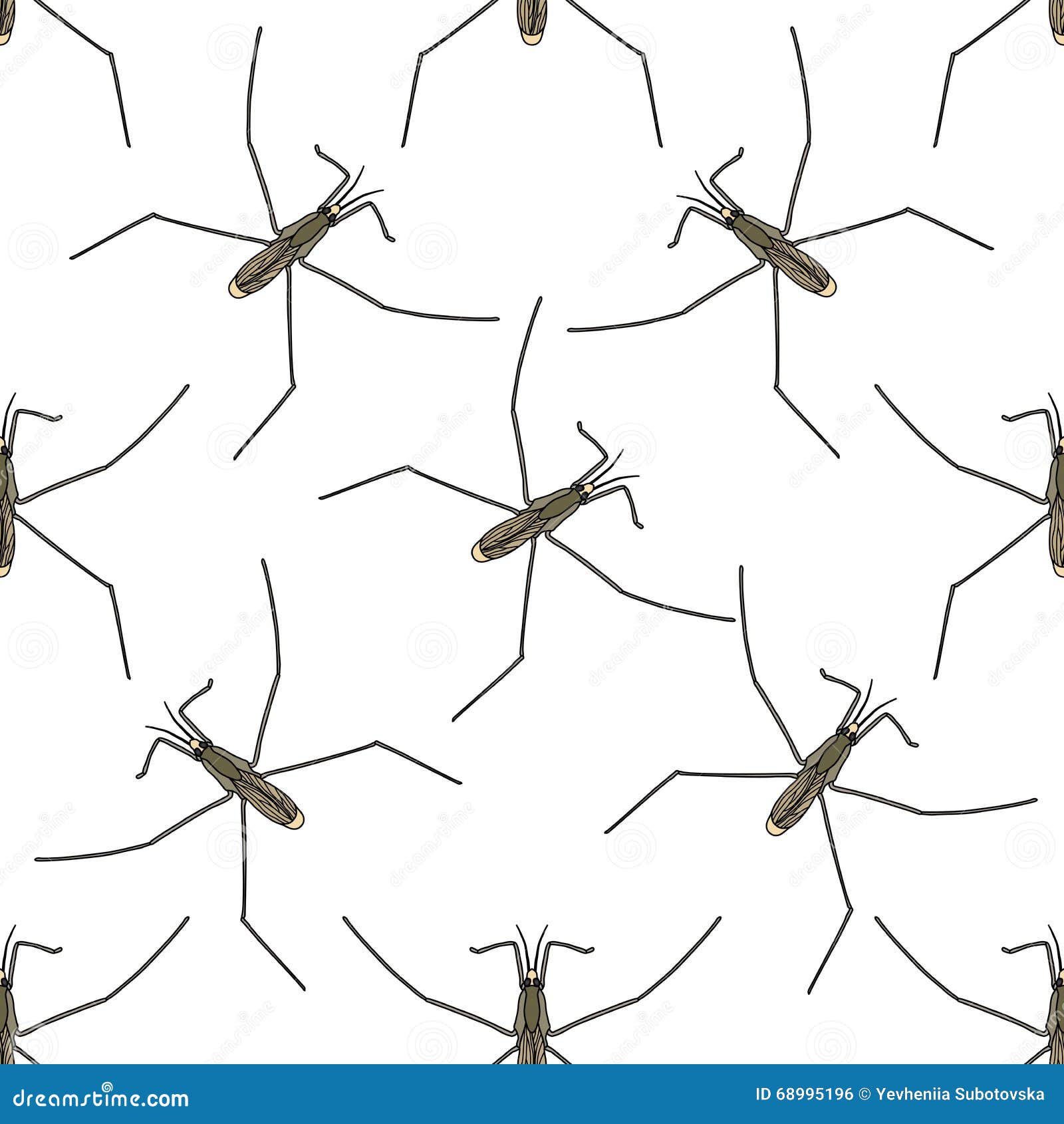 Seamless Pattern with Common Water Strider. Gerridae. GERRIS LACUSTRIS ...
