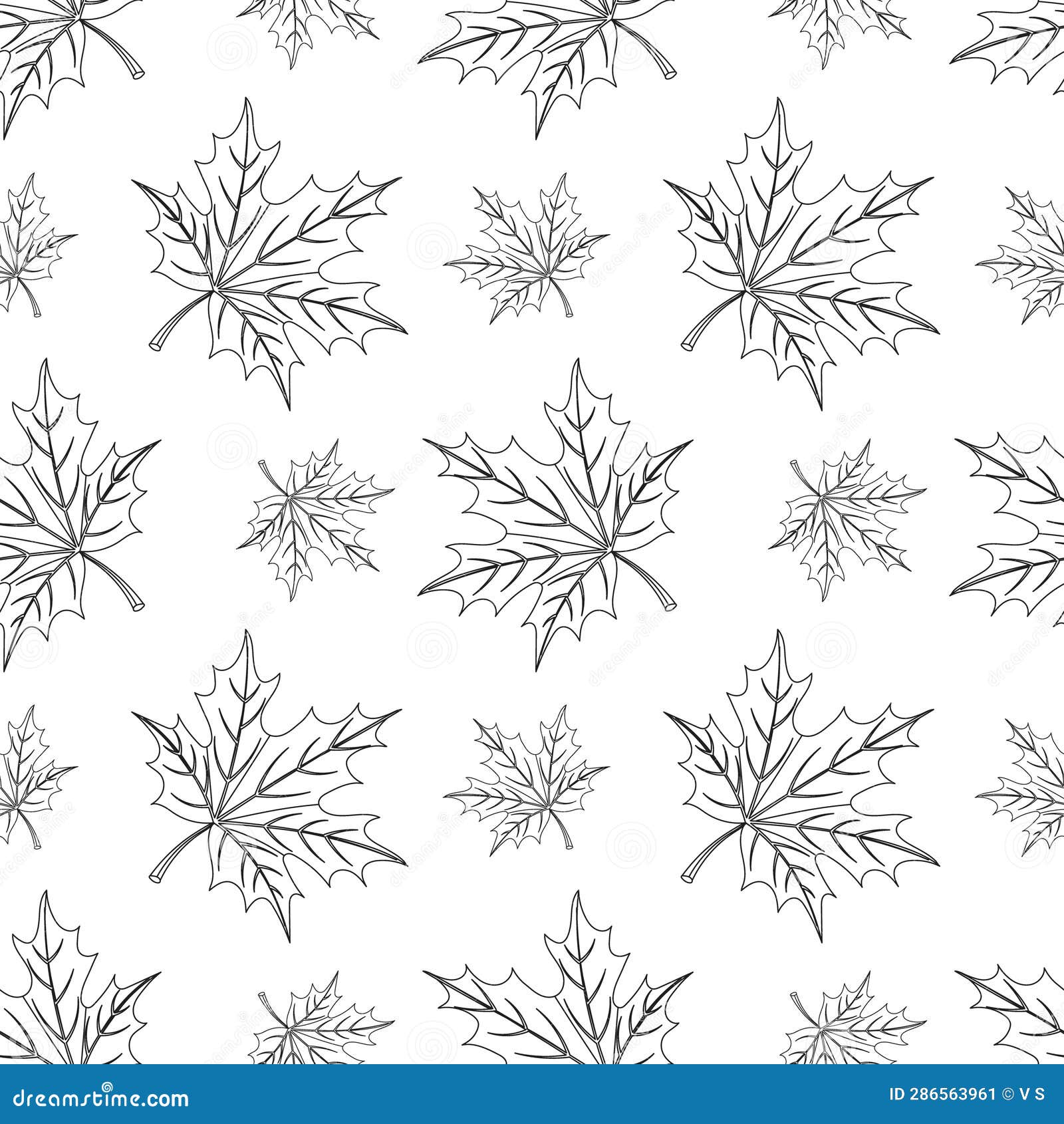 Seamless Pattern, Contour Maple Leaves on a White Background. Print ...