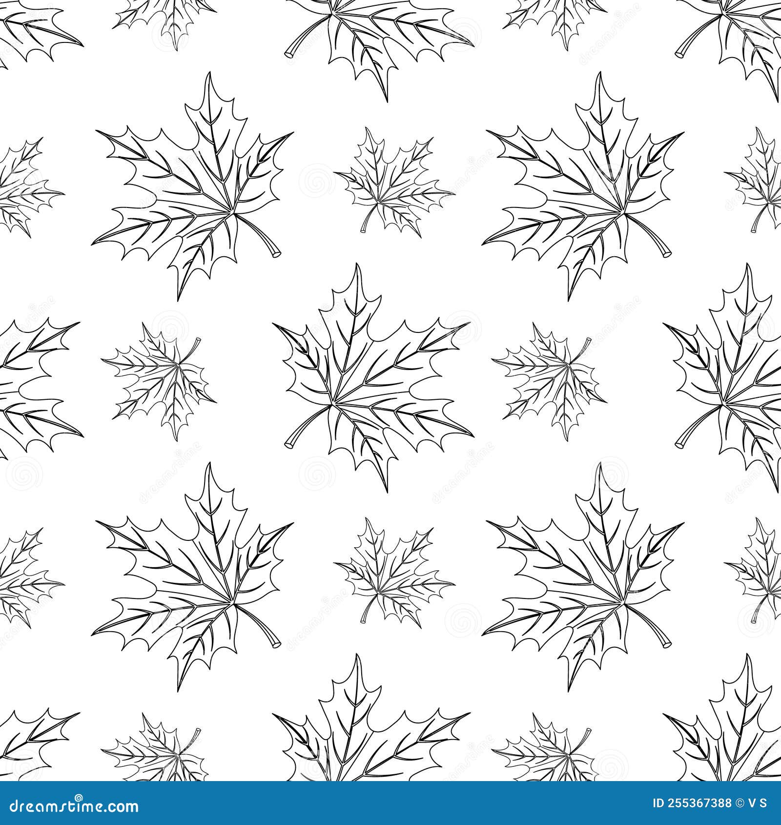 Seamless Pattern, Contour Maple Leaves on a White Background. Print ...