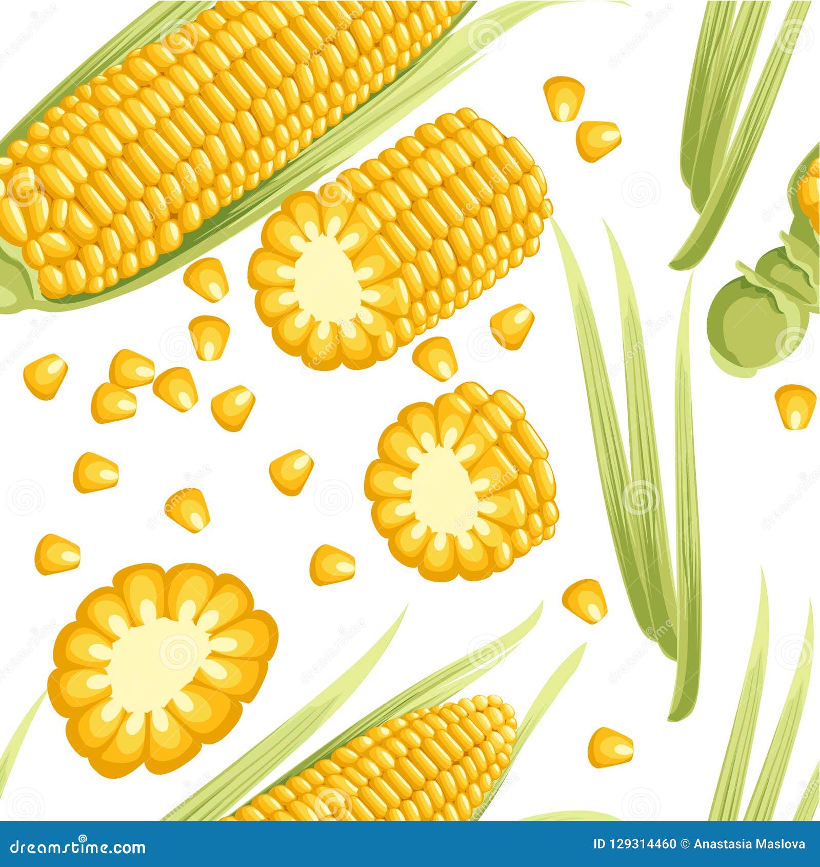 Separated Corn - Maize Parts Stock Image | CartoonDealer.com #160312087