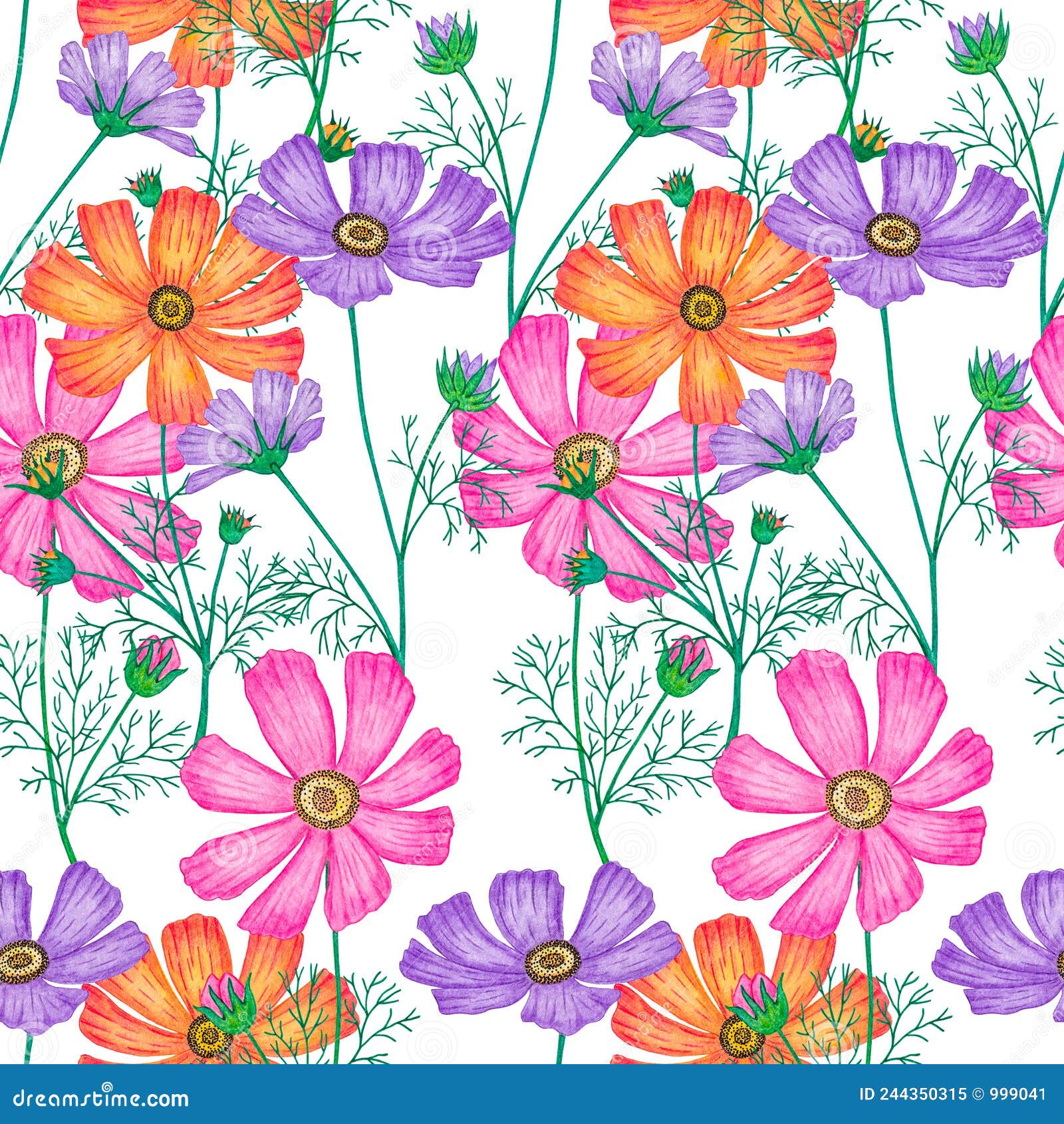 Seamless Pattern of Cosmea Flowers. Watercolor Illustration. Stock ...