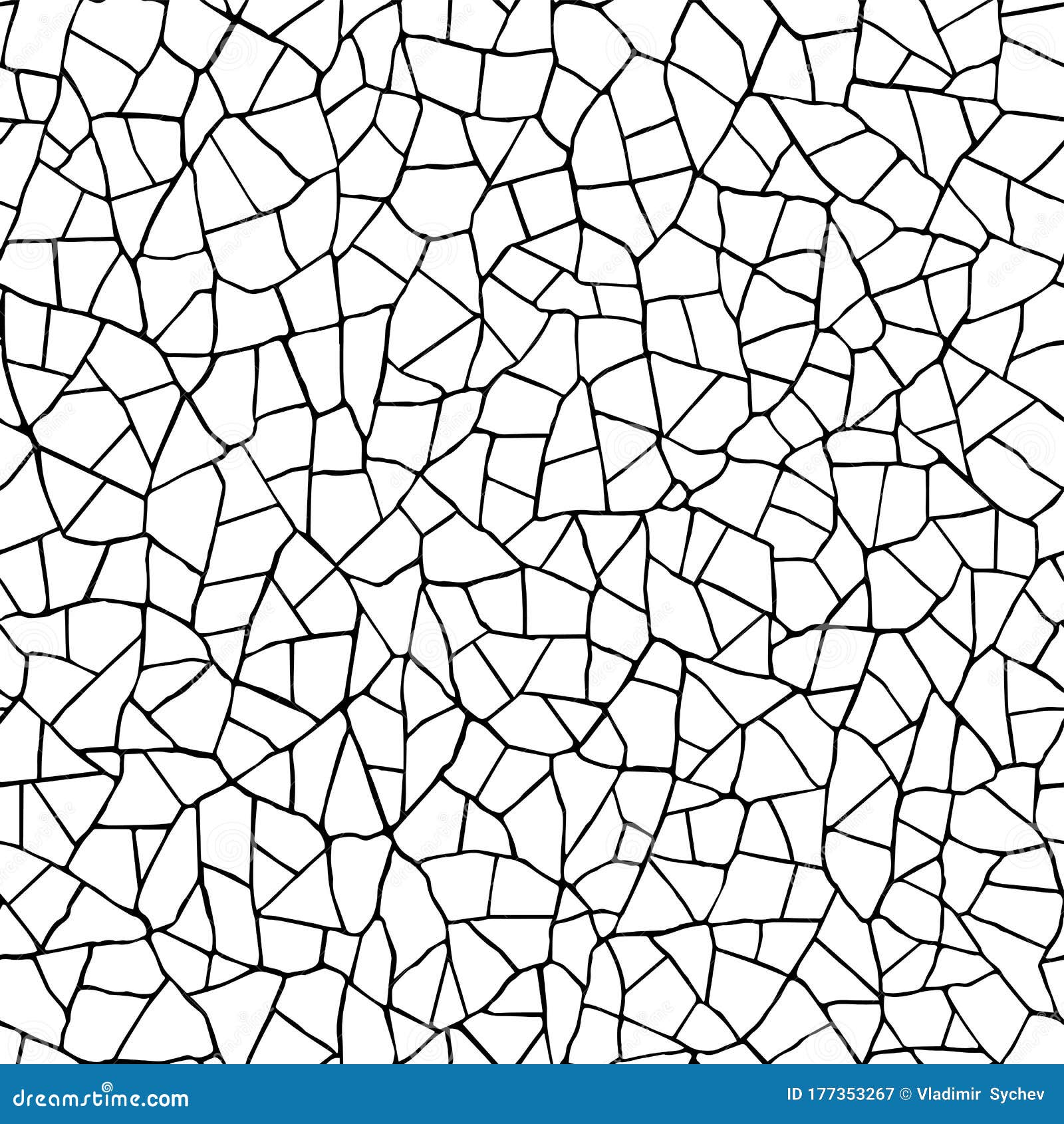 Seamless Pattern.the Cracks Texture White and Black Stock Vector ...