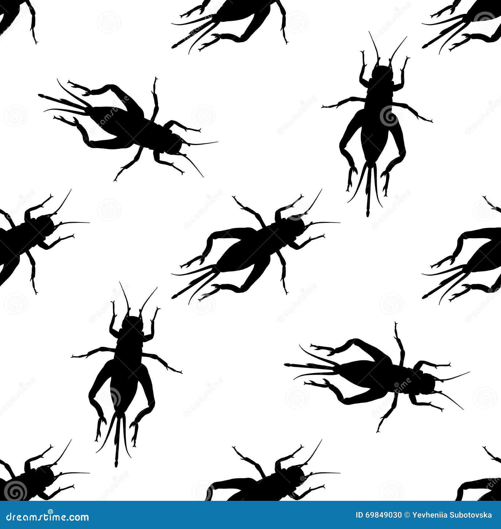 Seamless Pattern with Cricket or Grig. Gryllus Campestris. Hand-drawn ...