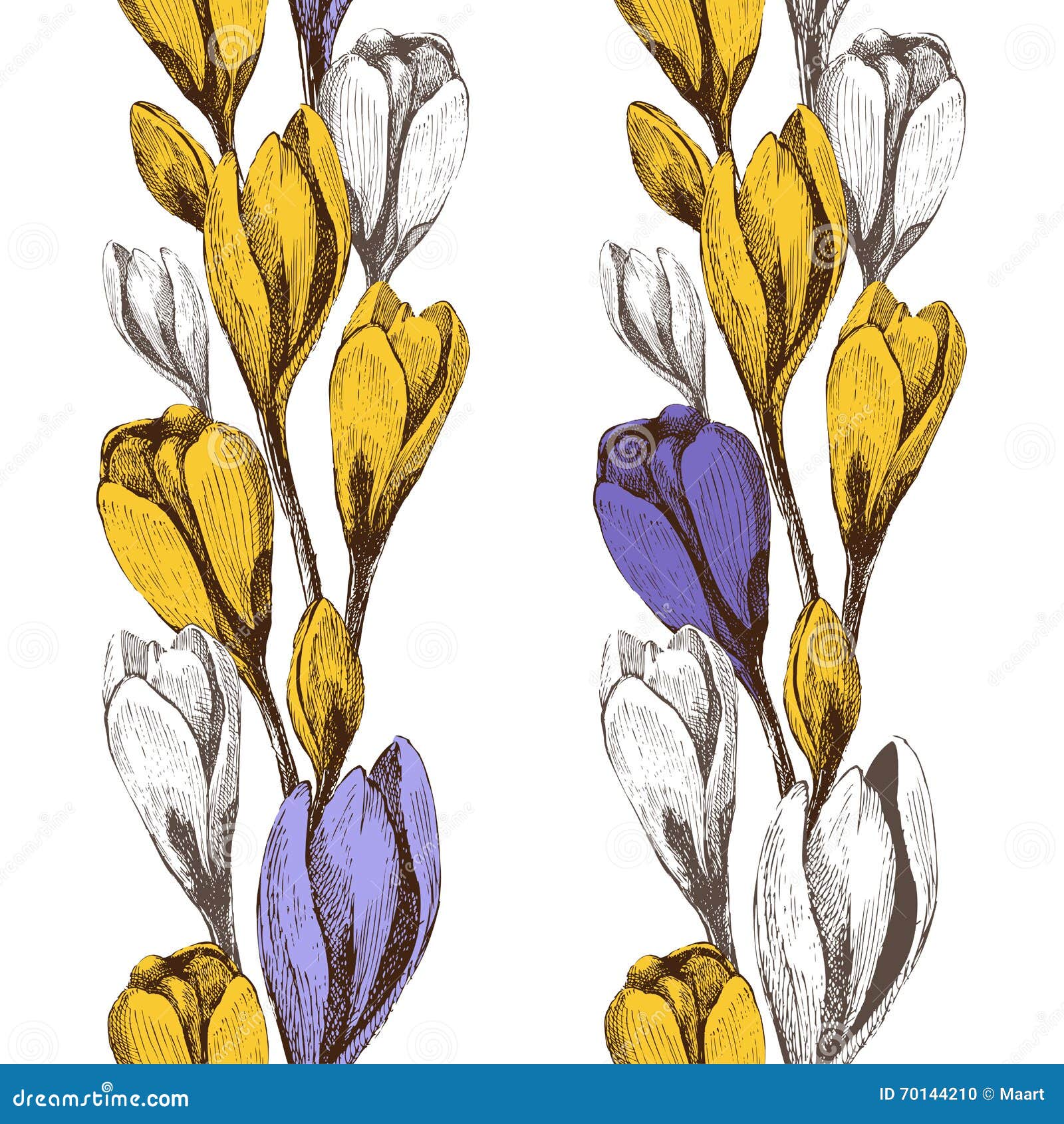 Seamless Pattern with Crocus Flowers Borders Stock Vector ...