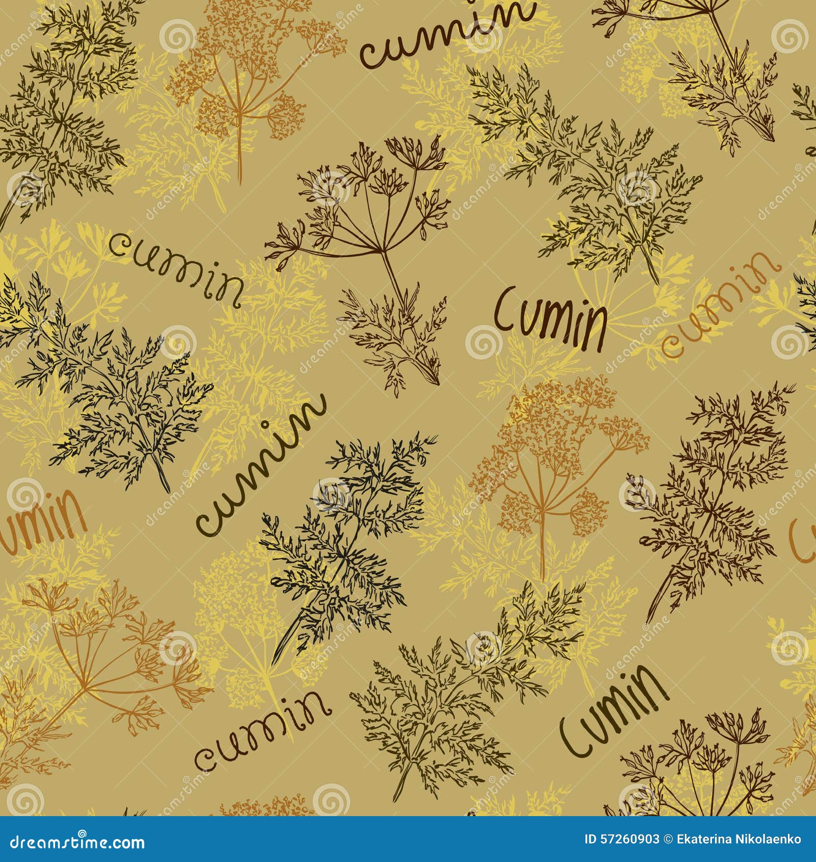 Seamless Pattern with Cumin. Stock Illustration - Illustration of ...
