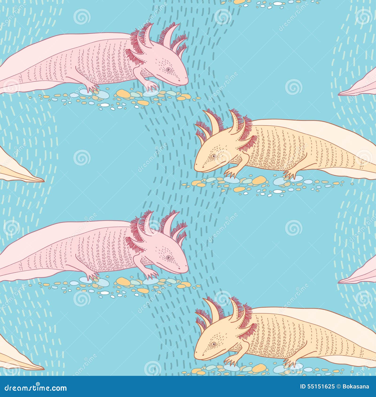 Mexican Axolotl Before Transformation. Ambystoma Mexicanum. Cartoon ...