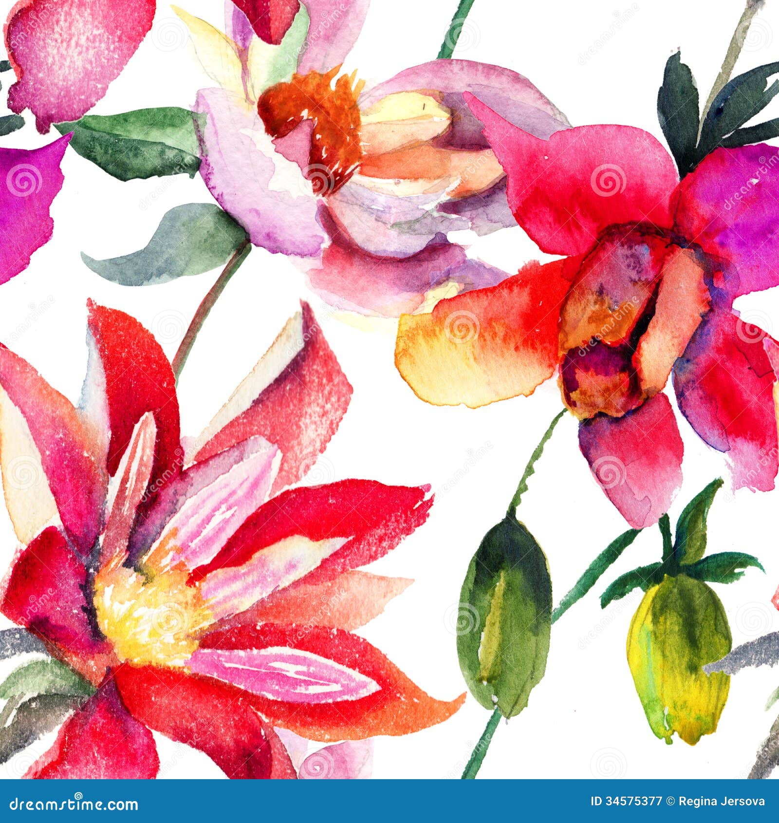 Seamless Pattern with Dahlia Flowers Stock Illustration - Illustration ...