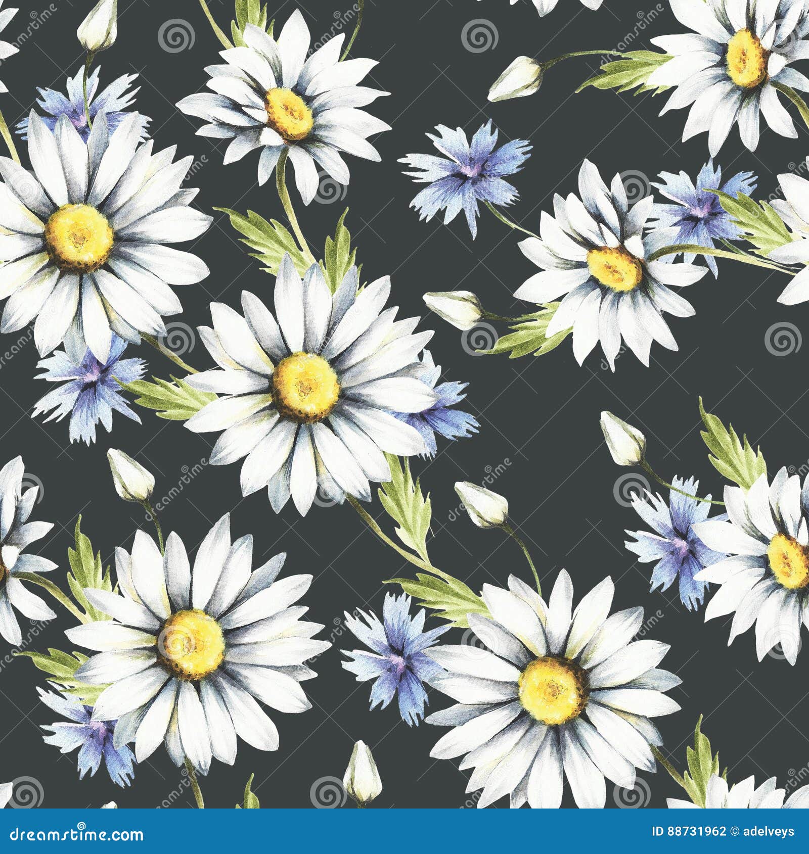 Seamless Pattern with Daisies. Hand Draw Watercolor Illustration. Stock ...