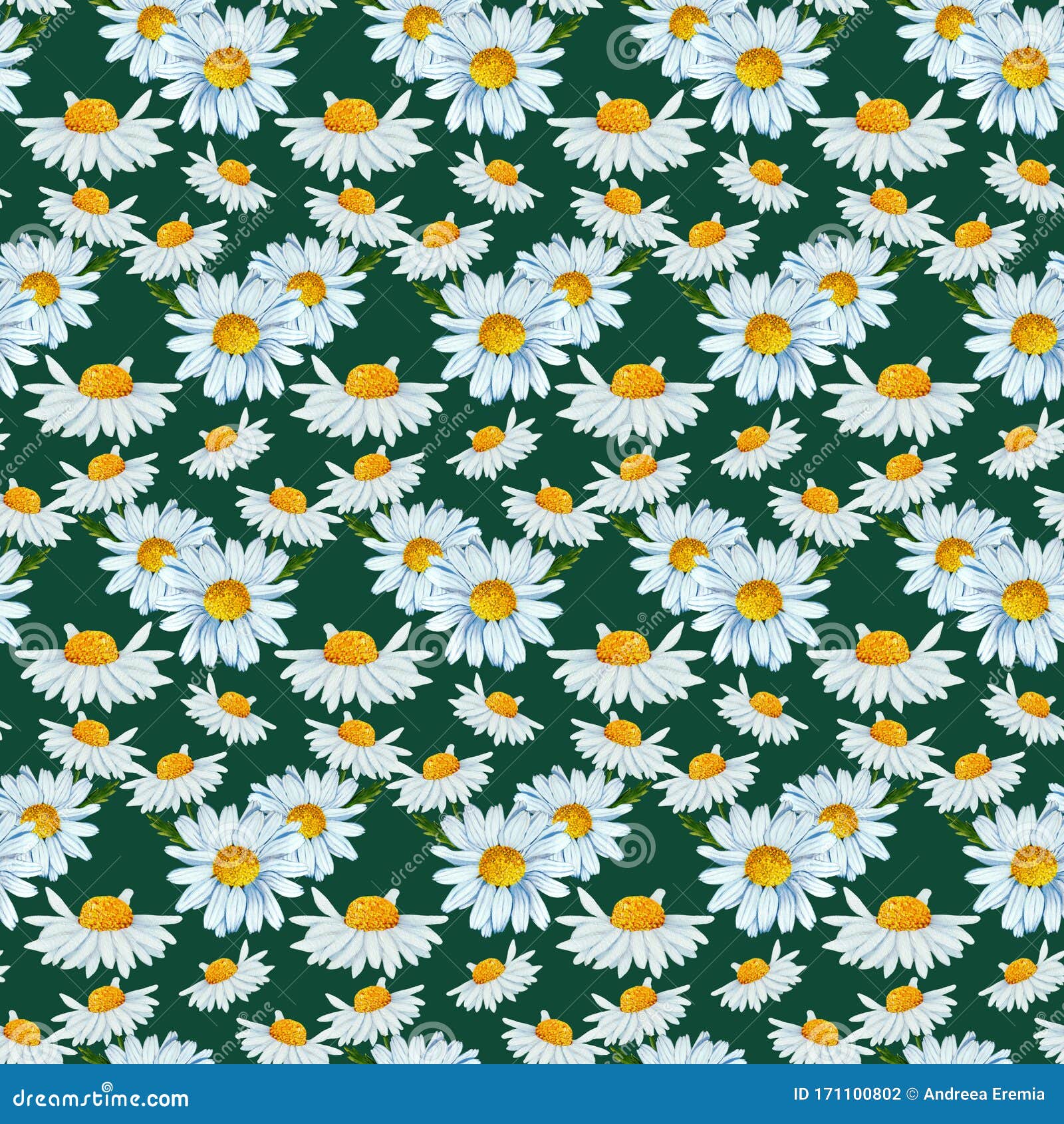 Seamless Pattern with Daisy Composition Stock Illustration ...