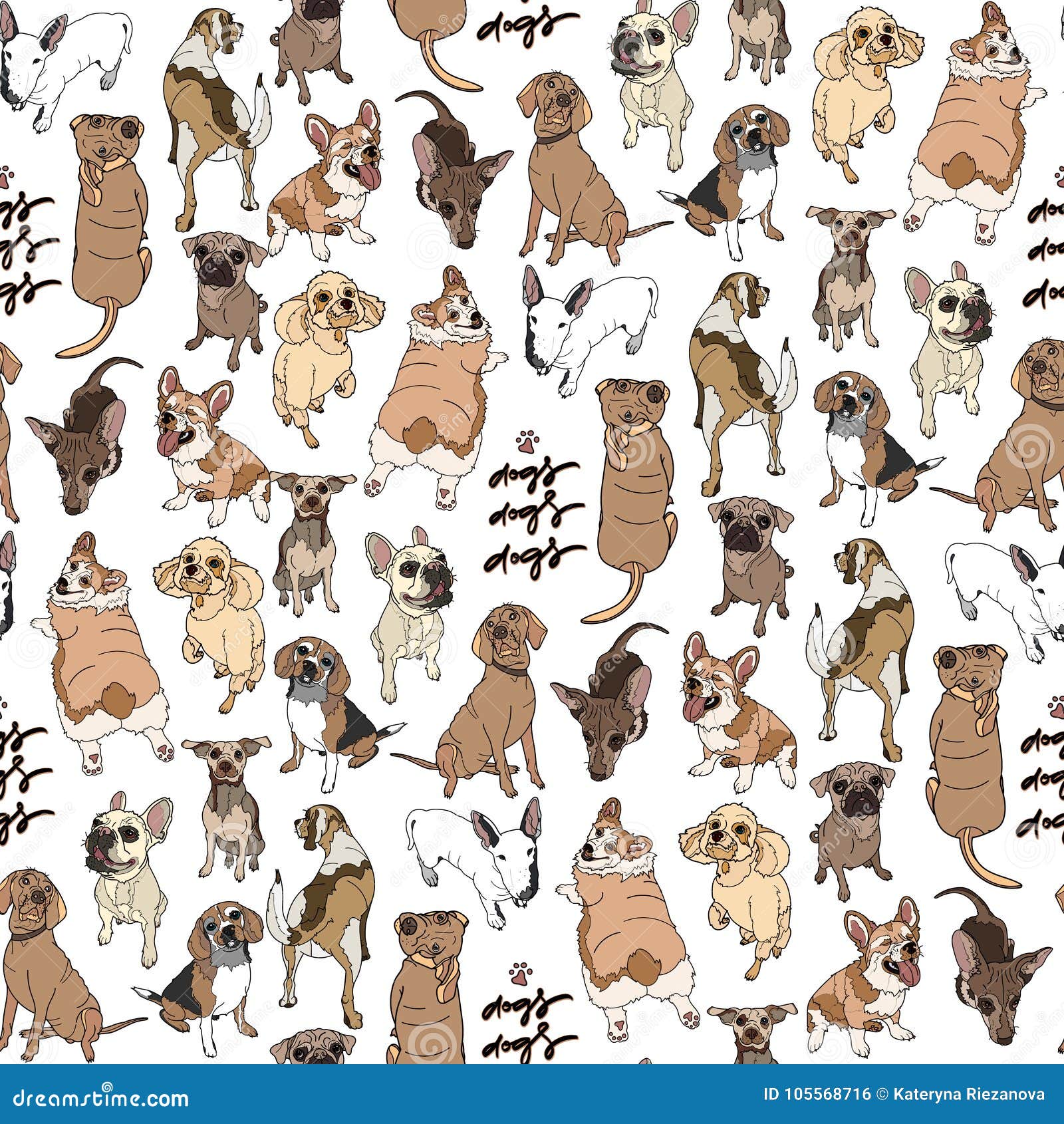 Seamless Pattern with Different Dogs Breed. Stock Vector - Illustration ...