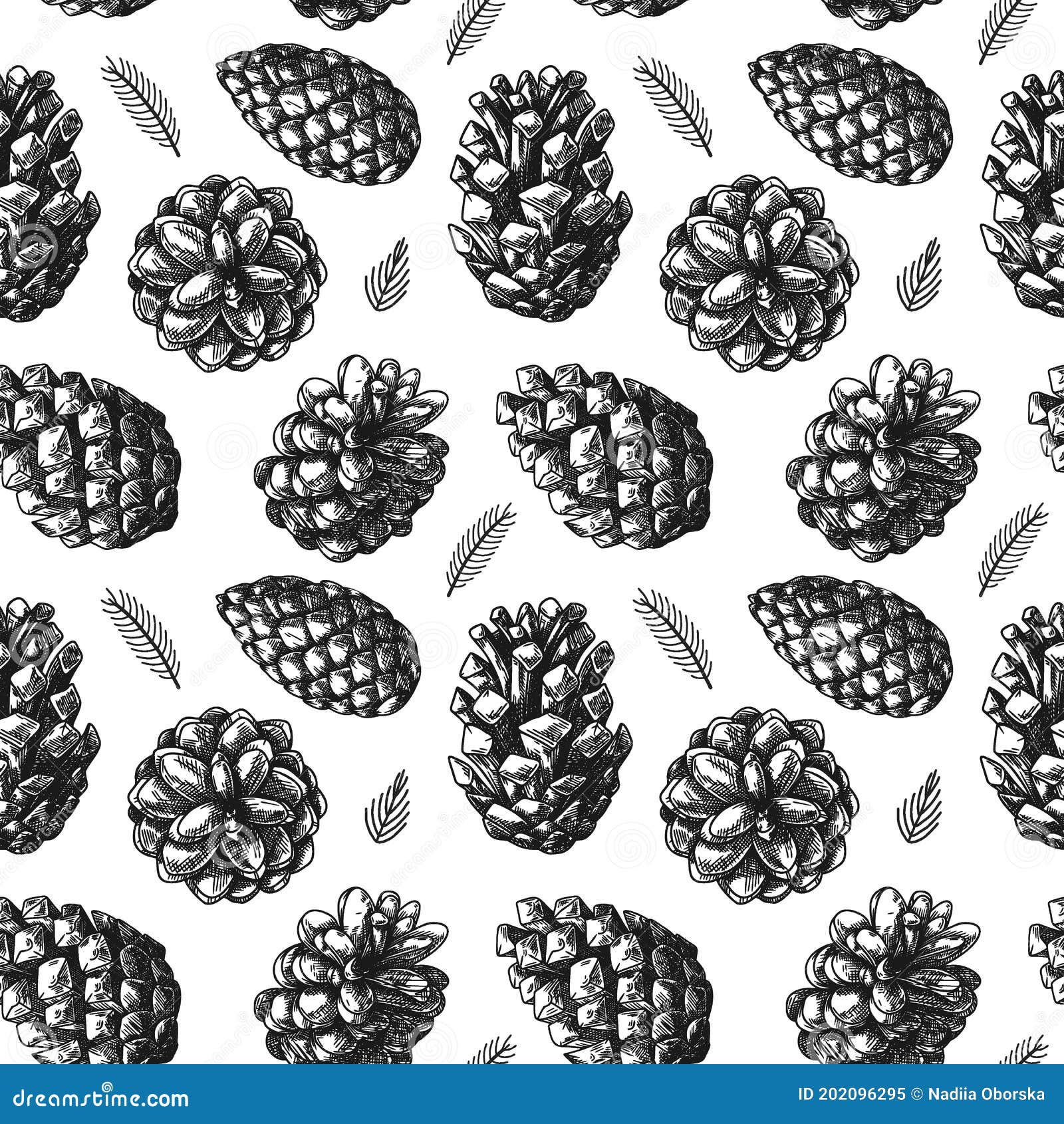 Seamless Pattern with Different Pine Cone. Sketch, Hand Drawn Stock ...