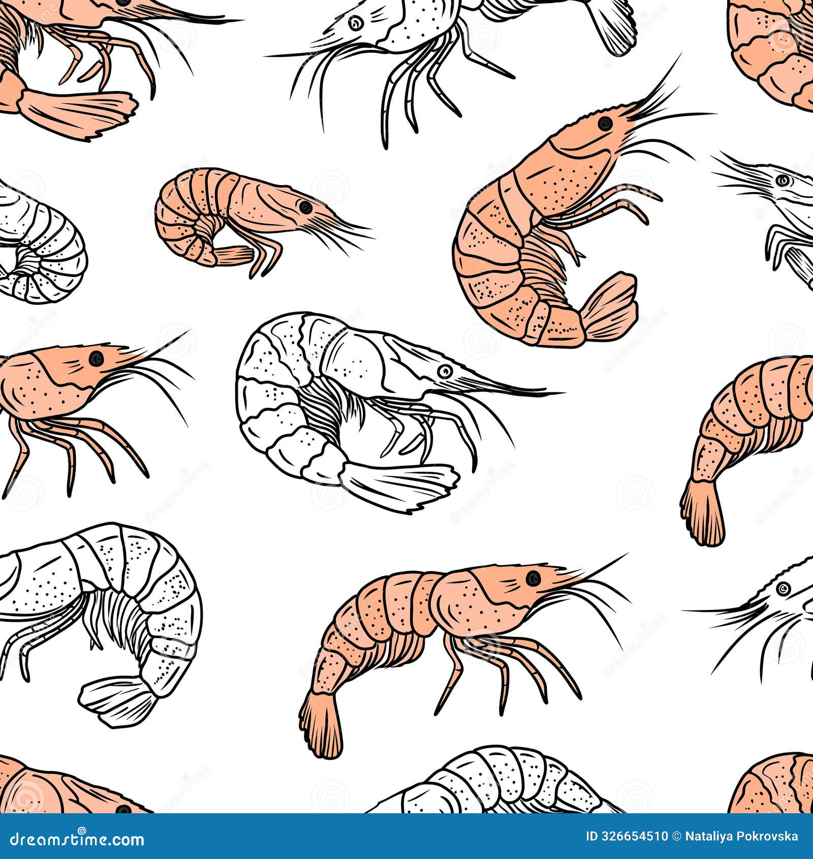 Seamless Pattern with Different Realistic Shrimp Drawing on White ...