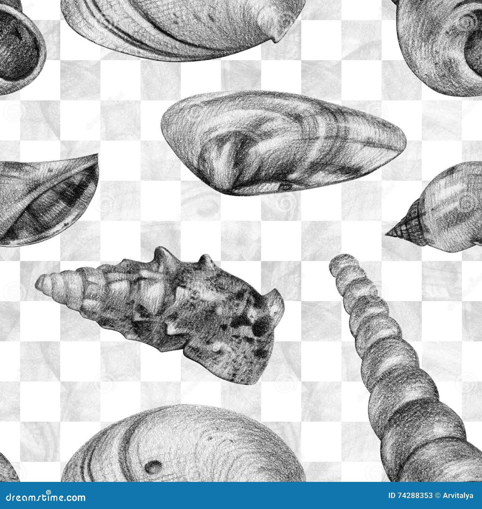 Seamless Pattern with Different Seashells Drawn by Hand Stock ...