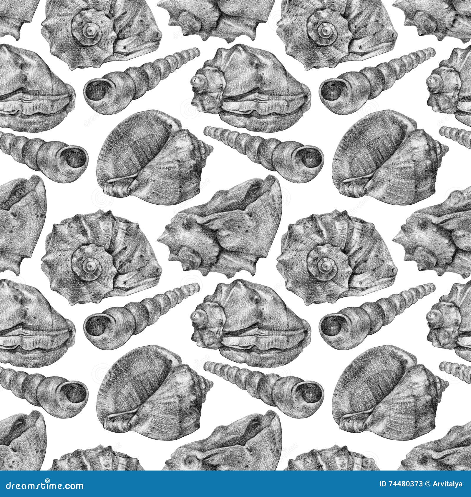Seamless Pattern with Different Seashells Drawn by Hand Stock ...