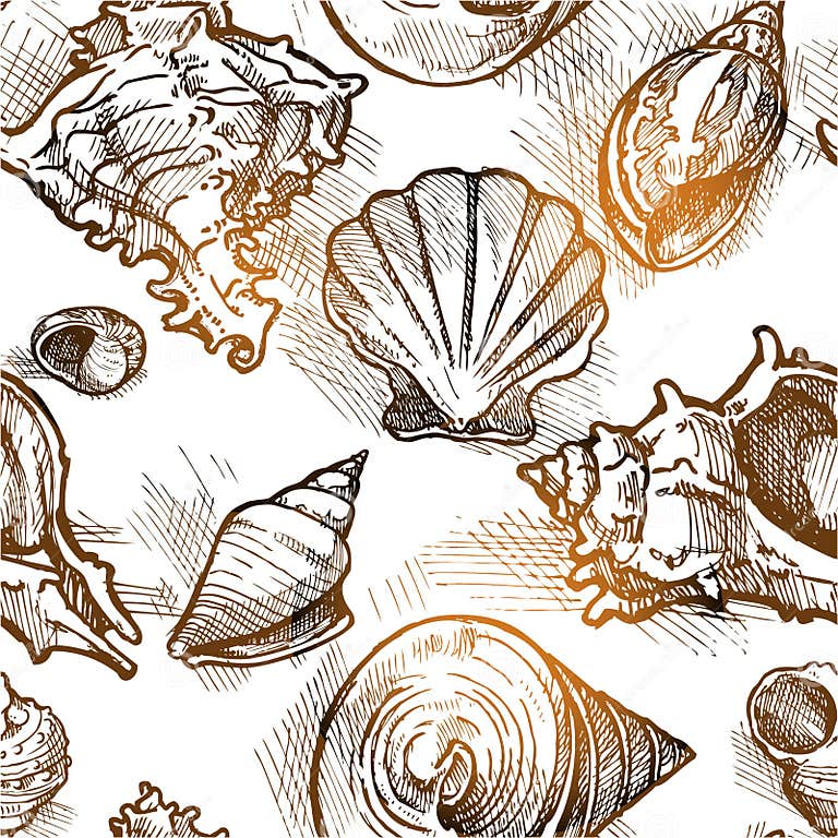 Seamless Pattern from of Different Shapes Shell Sketches Stock Vector ...