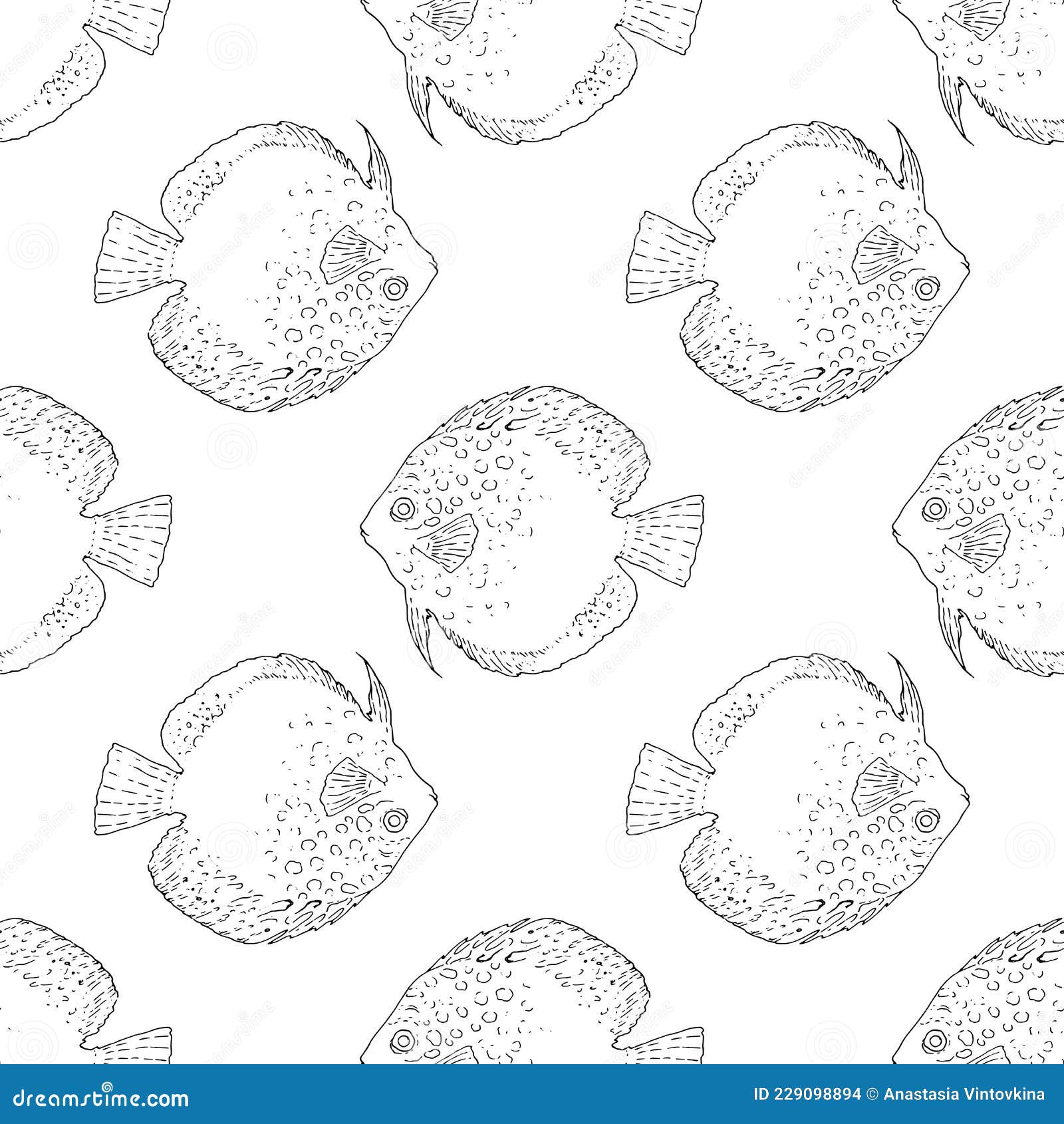 Discus Sketch Of A Fish In A Hand-drawn Sketch Style On A White ...