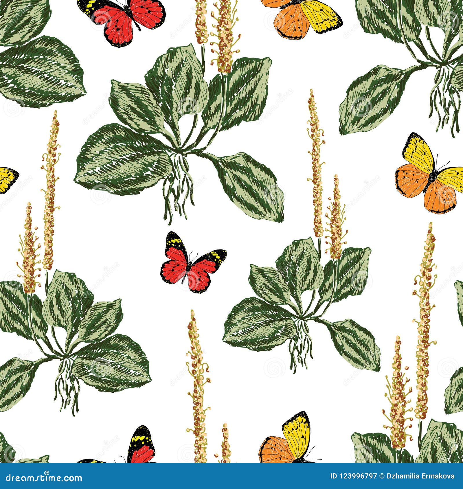 Vector Background of Plantain and Butterflies Stock Vector ...