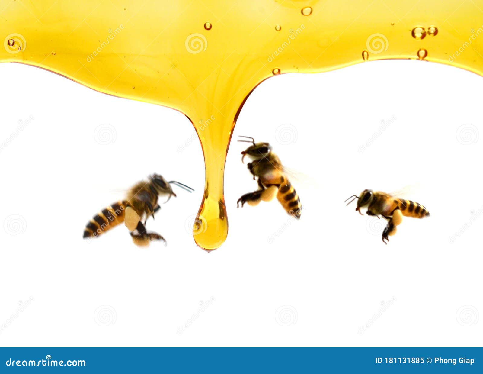 Seamless Pattern of Dripping Glossy Honey Vector. Stock Image - Image ...
