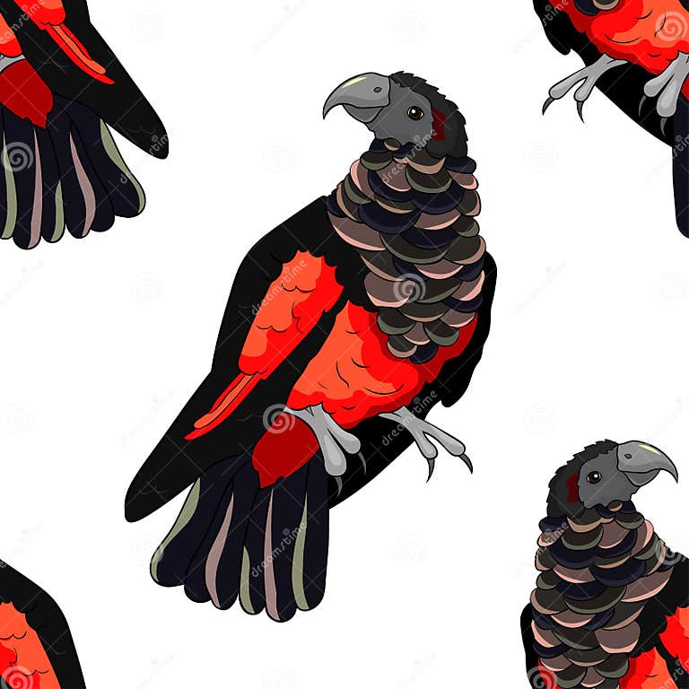 Seamless Pattern Eagle Black-red Griffon Parrot. Vector Illustration ...