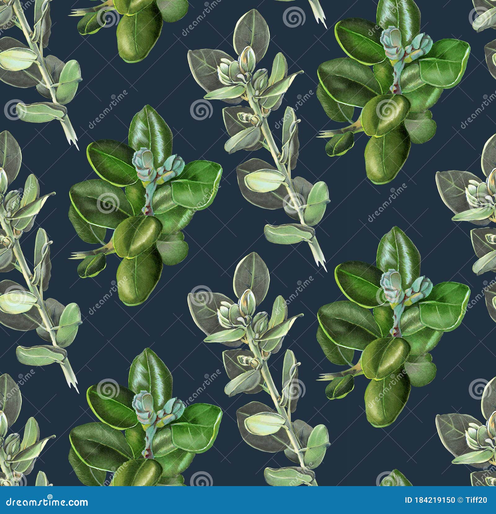 Seamless Pattern with Eucalyptus Branches Stock Photo - Image of flora ...