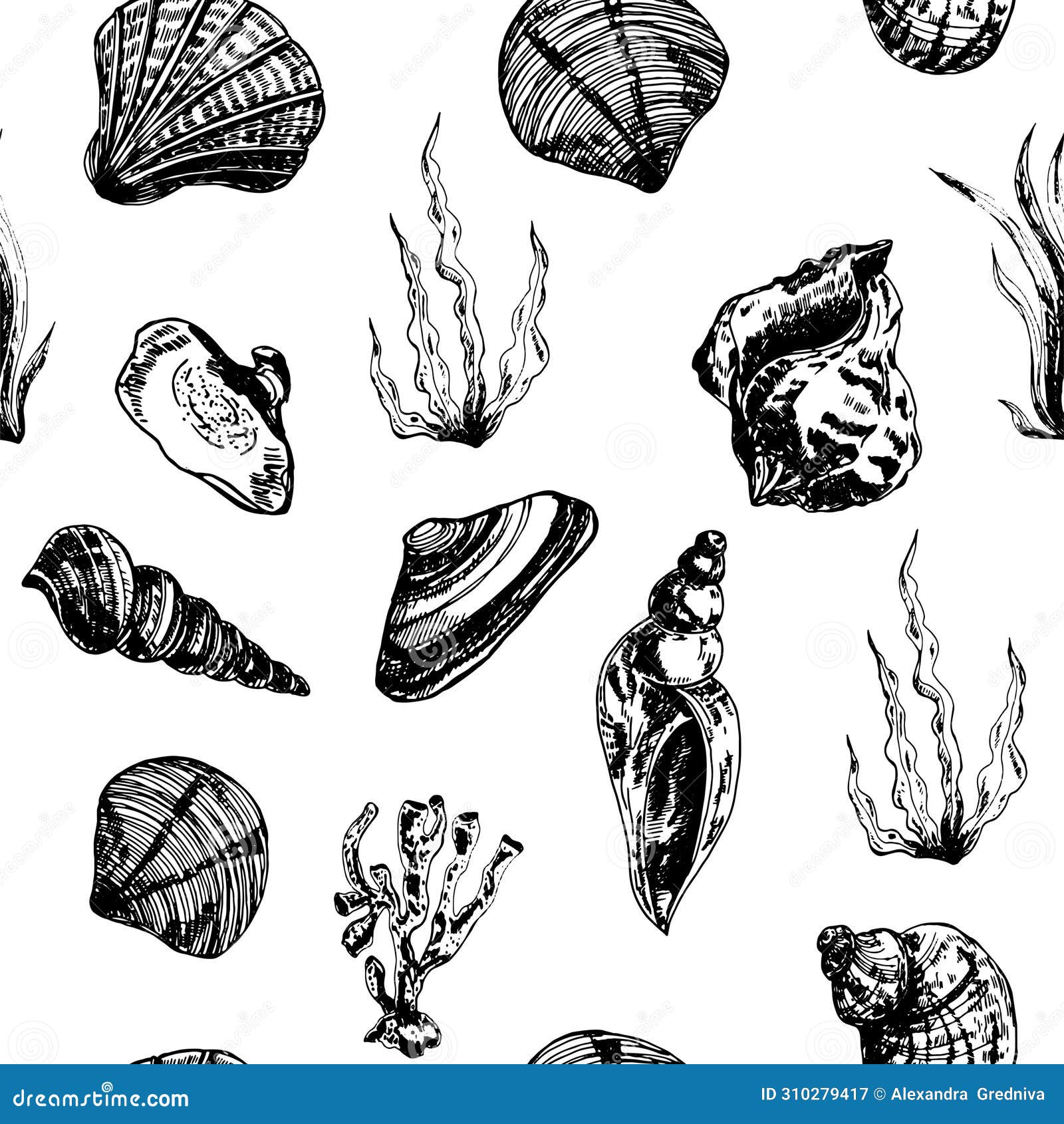 A Seamless Pattern Featuring a Variety of Detailed Shell Illustrations ...