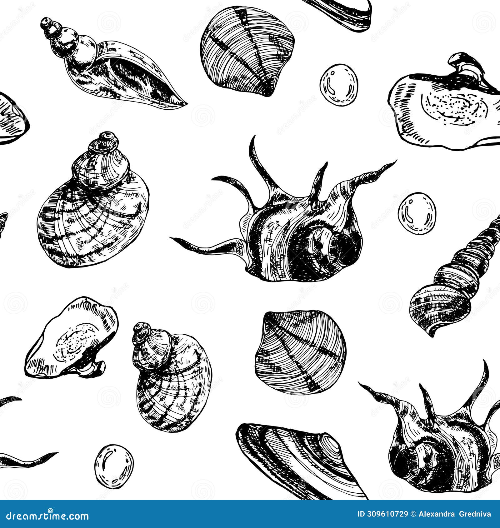 A Seamless Pattern Featuring a Variety of Detailed Shell Illustrations ...