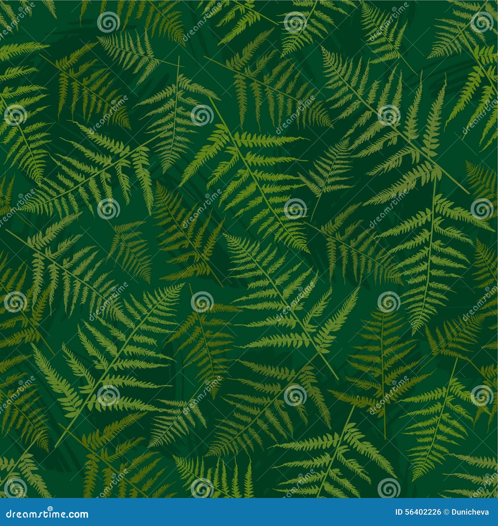Seamless pattern of fern. stock vector. Illustration of graphic - 56402226