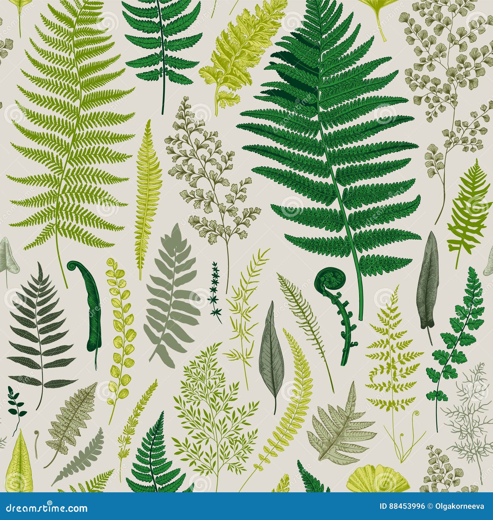 Seamless pattern. Ferns stock vector. Illustration of forest - 88453996