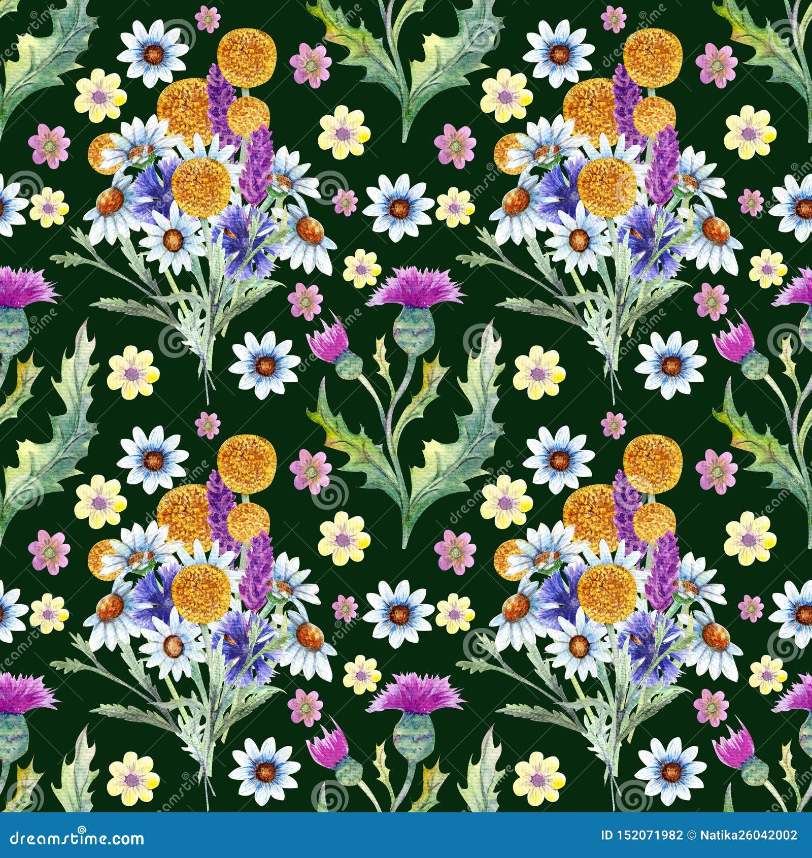 Seamless Pattern. Field Flowers. the Image of Summer. Watercolor ...