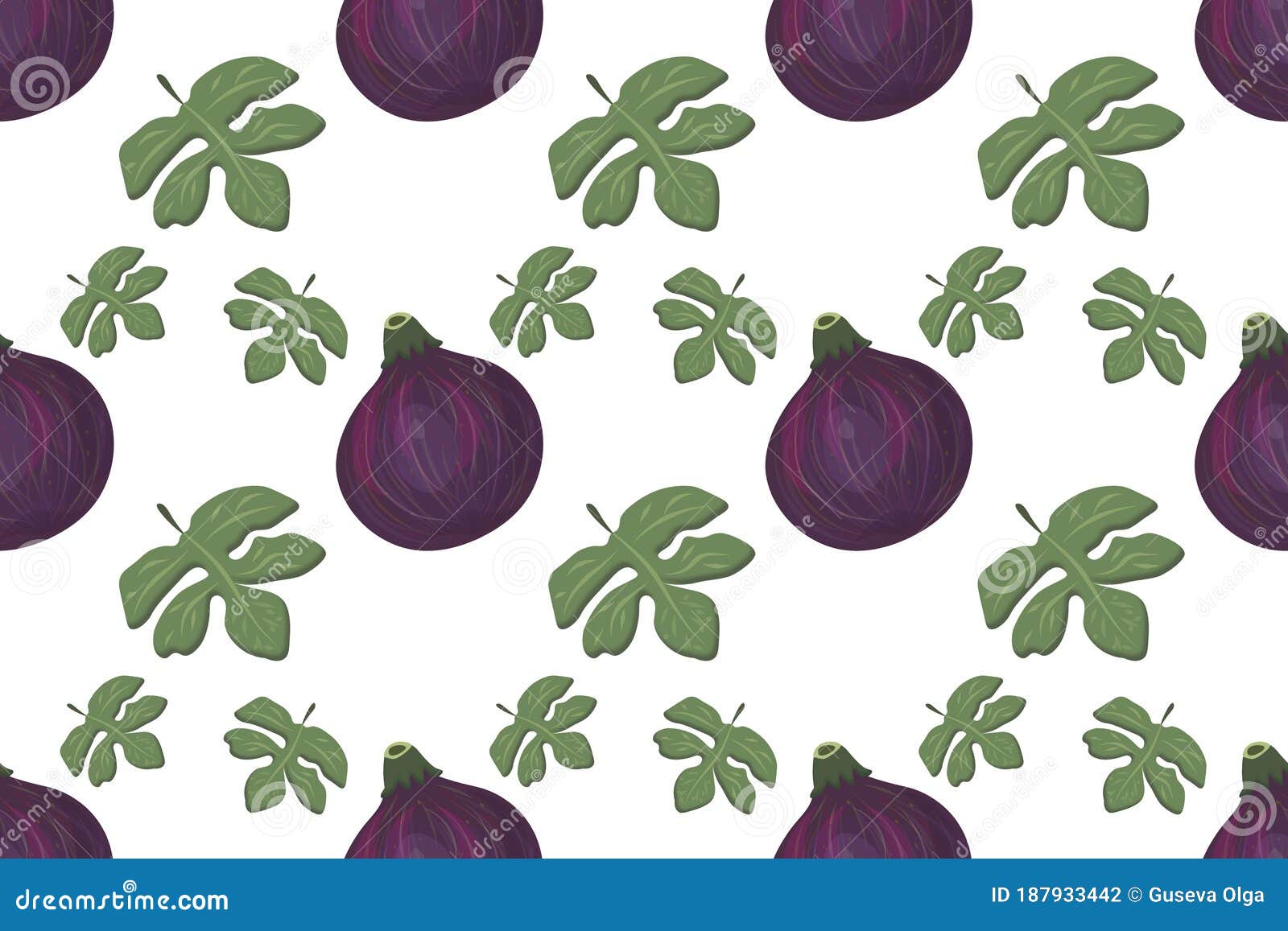 Seamless Pattern with Figs and Fig Leaves on a White Background. for ...