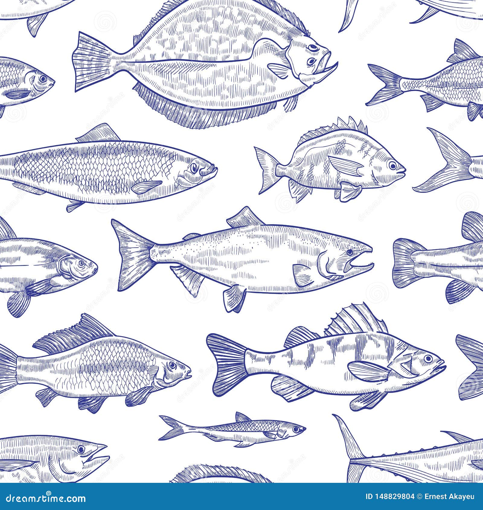Seamless Pattern with Fish Hand Drawn with Contour Lines on White ...