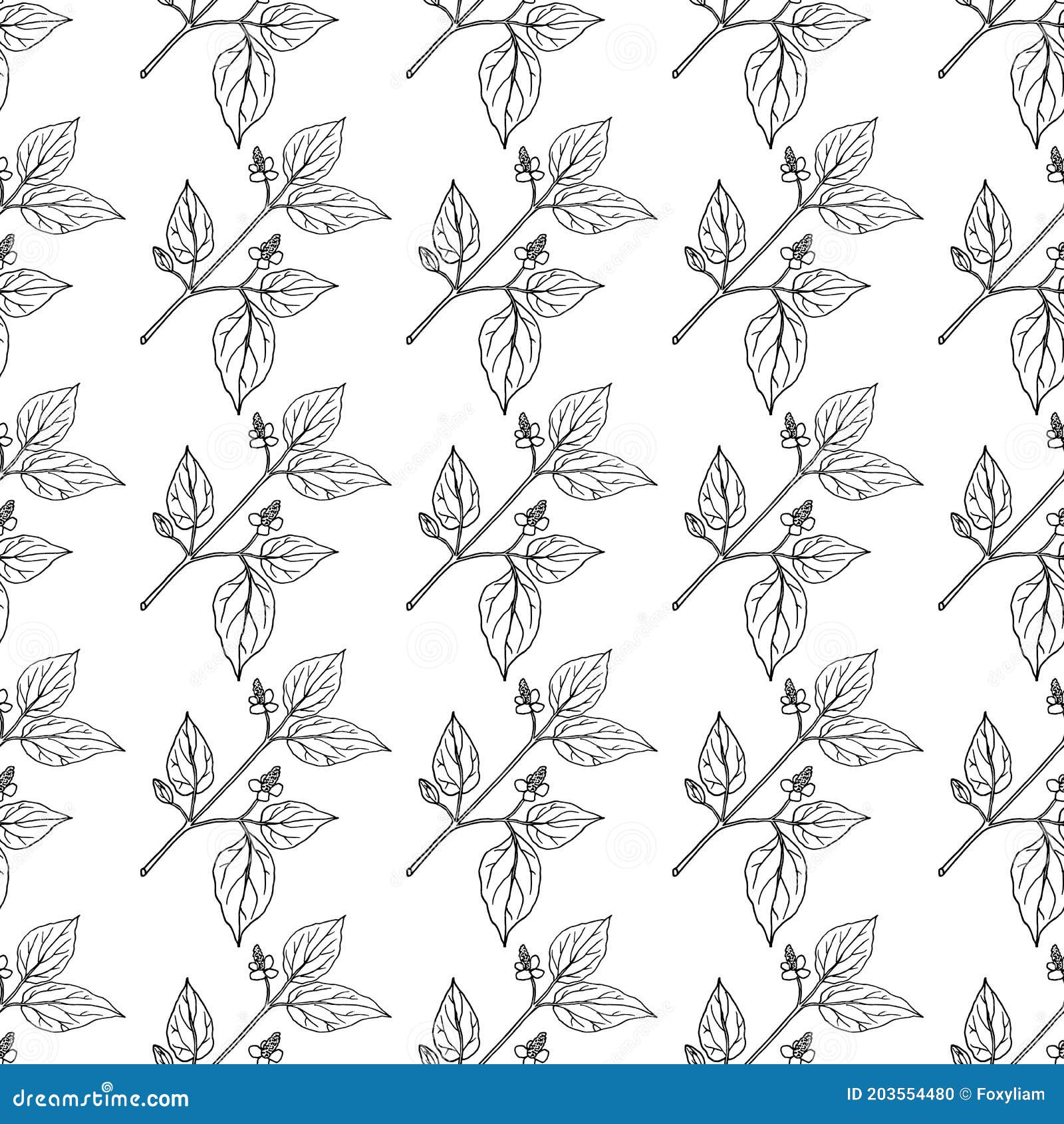 Seamless Pattern with Fish Mint Houttuynia Cordata Stock Vector ...