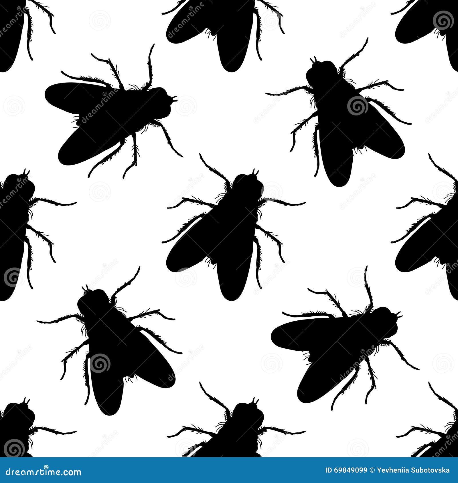Seamless Pattern with Fly. Musca Domestica . Hand-drawn . Fly Stock ...